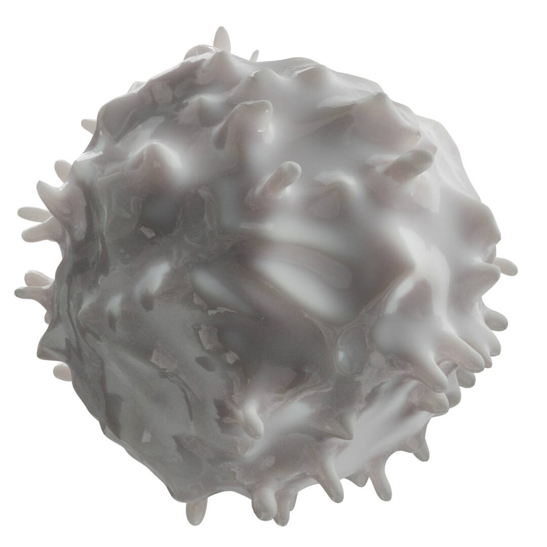 Lymphocytes Pack - 3D Model by zames1992d
