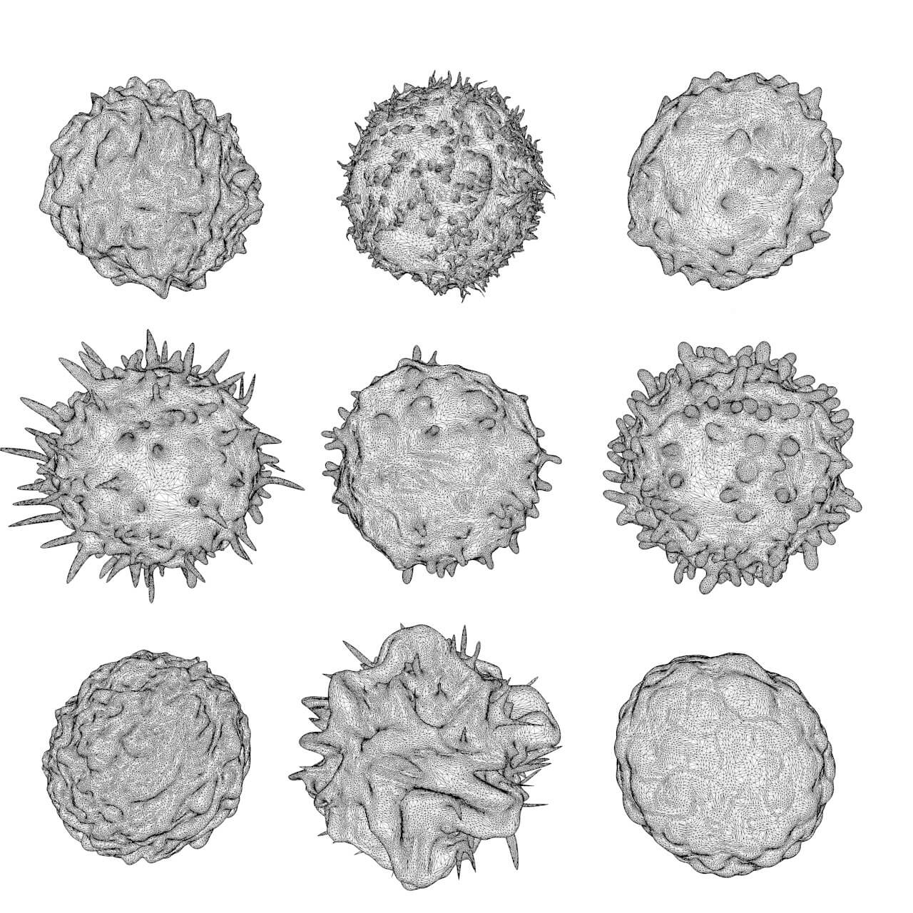 Lymphocytes Pack - 3D Model by zames1992d