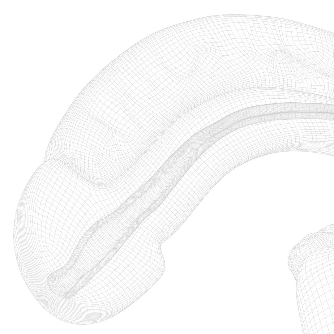 Male Reproductive System - 3D Model by zames1992d