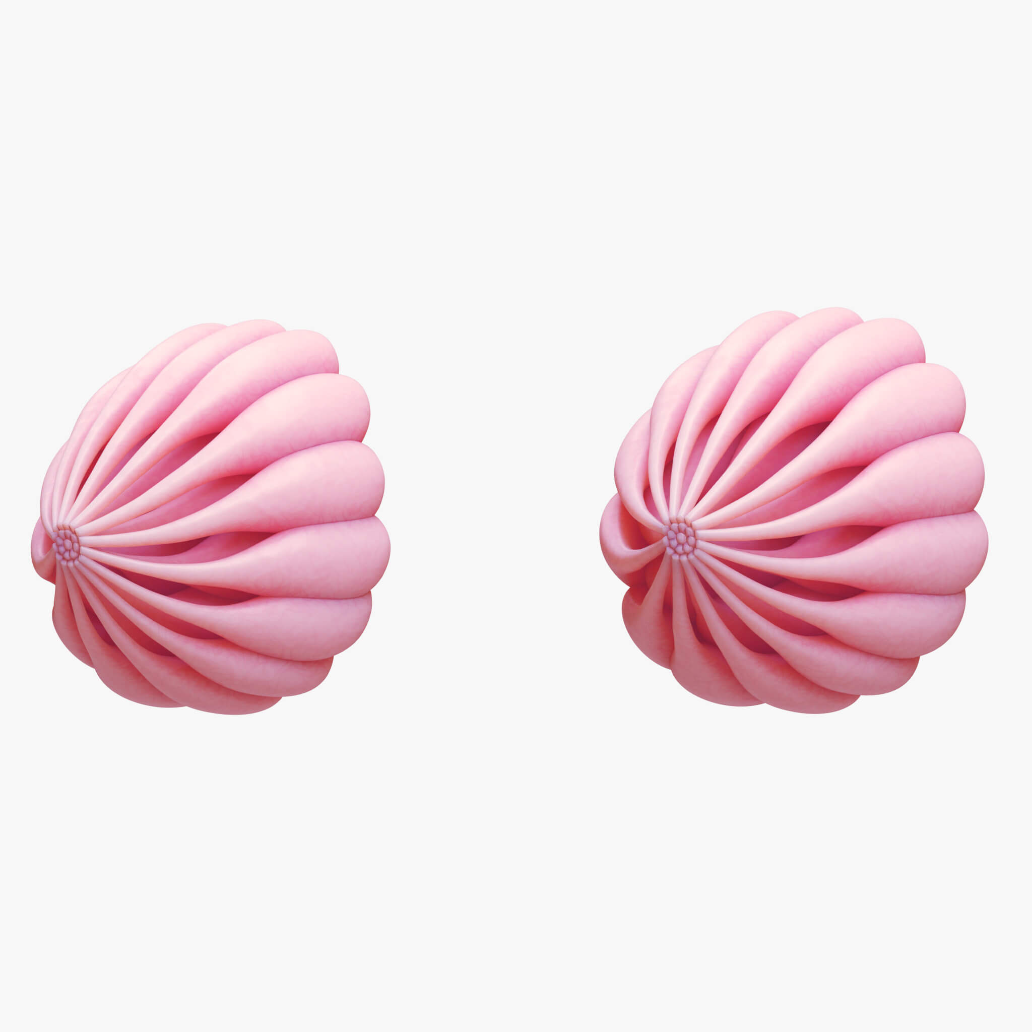 Mammary Gland Anatomy - 3D Model by zames1992d