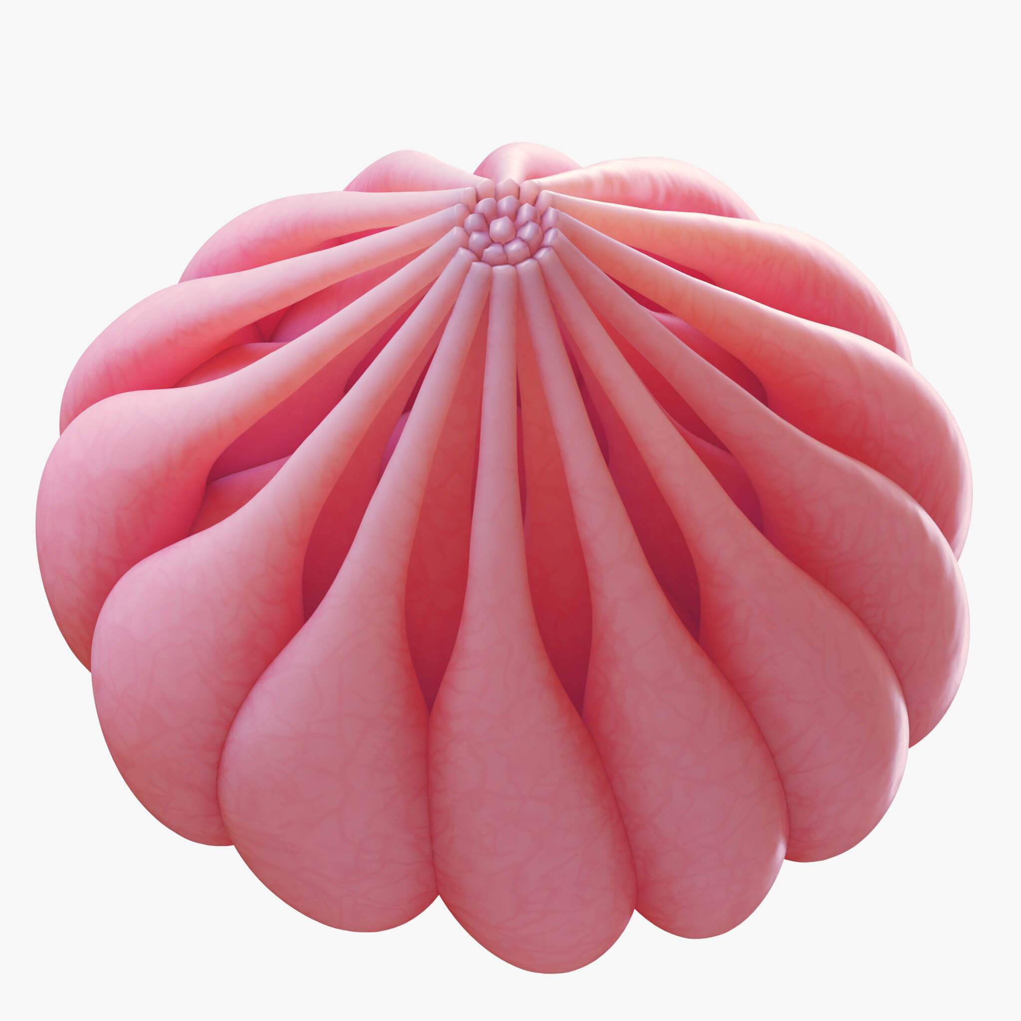 Mammary Gland Anatomy - 3D Model by zames1992d