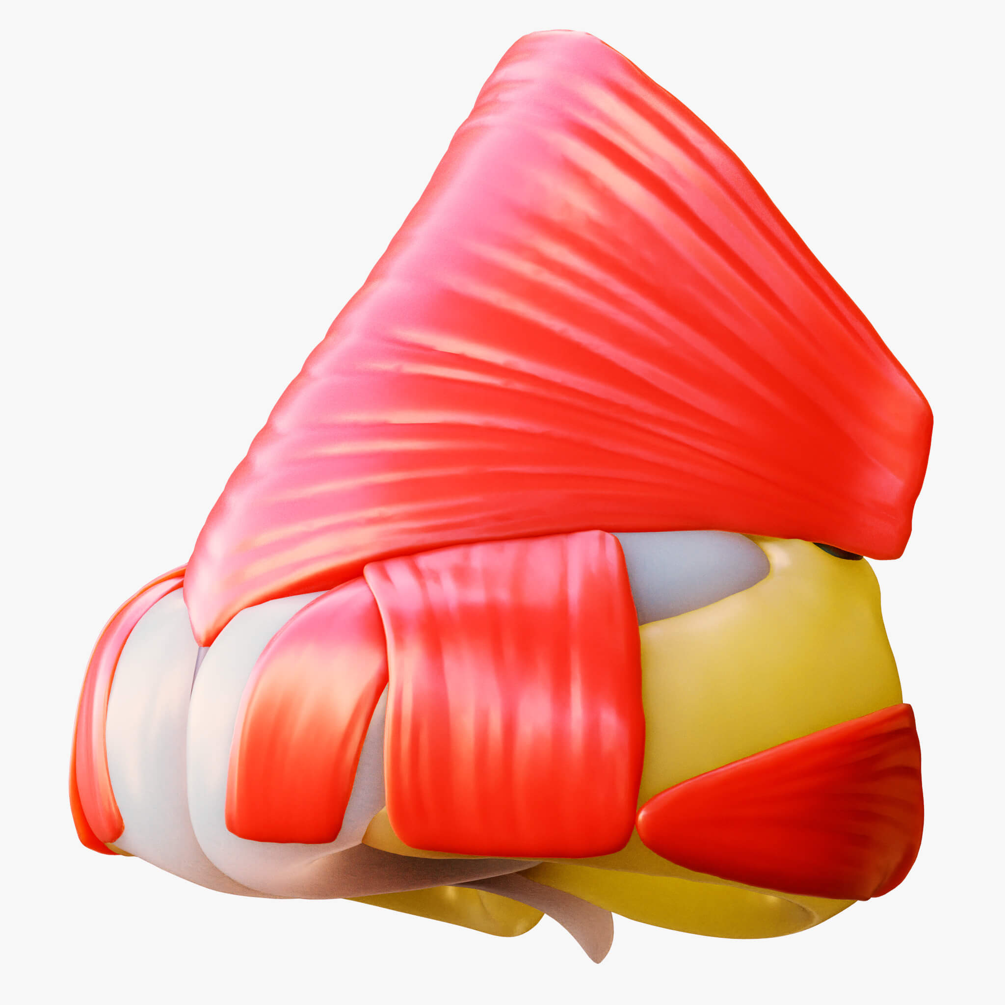 Nasal Human Anatomy Structure - 3D Model by zames1992d