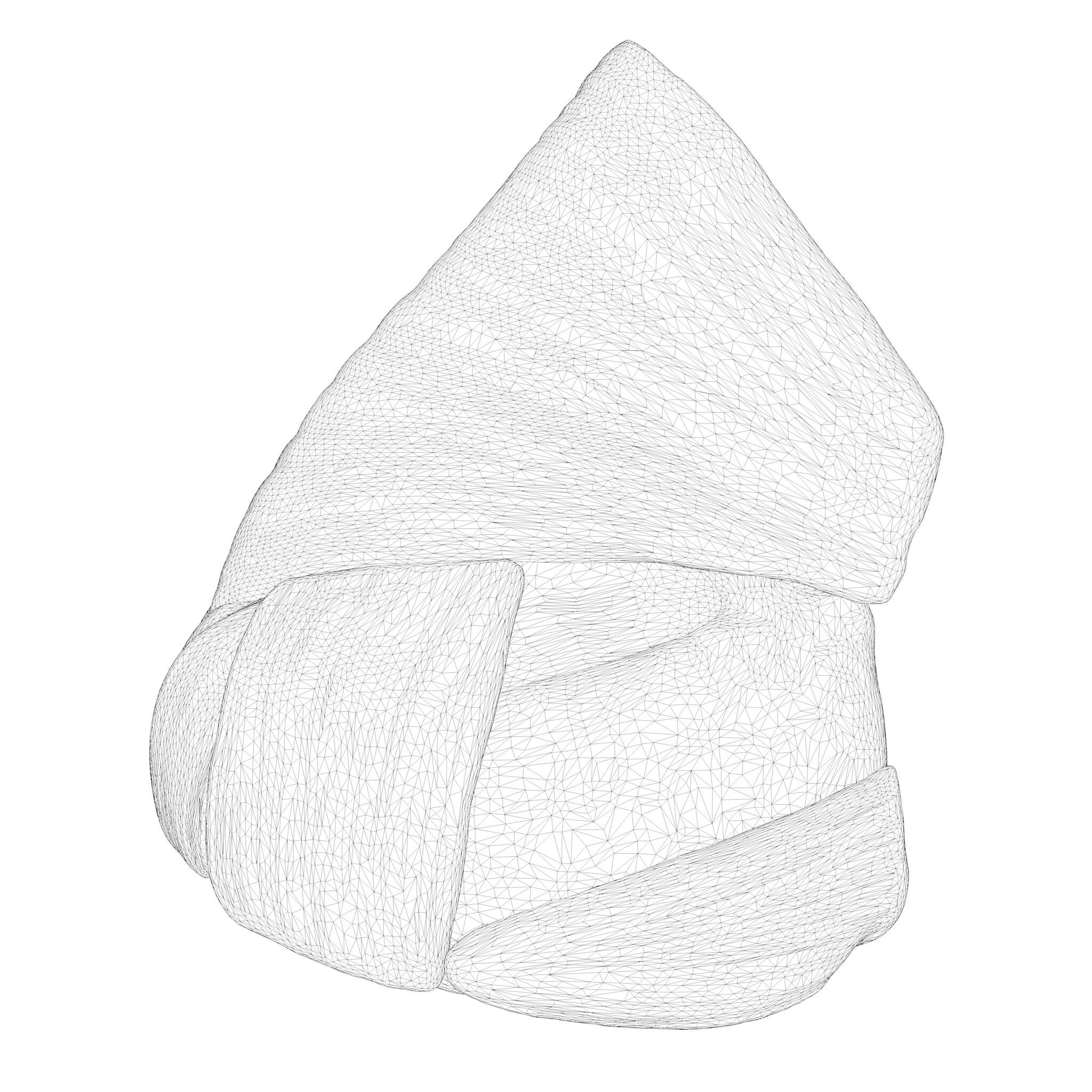 Nasal Human Anatomy Structure - 3D Model by zames1992d