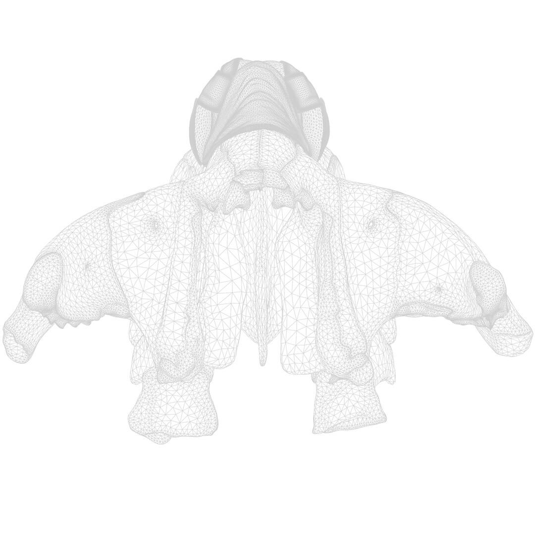 Nasal Human Anatomy Structure - 3D Model by zames1992d