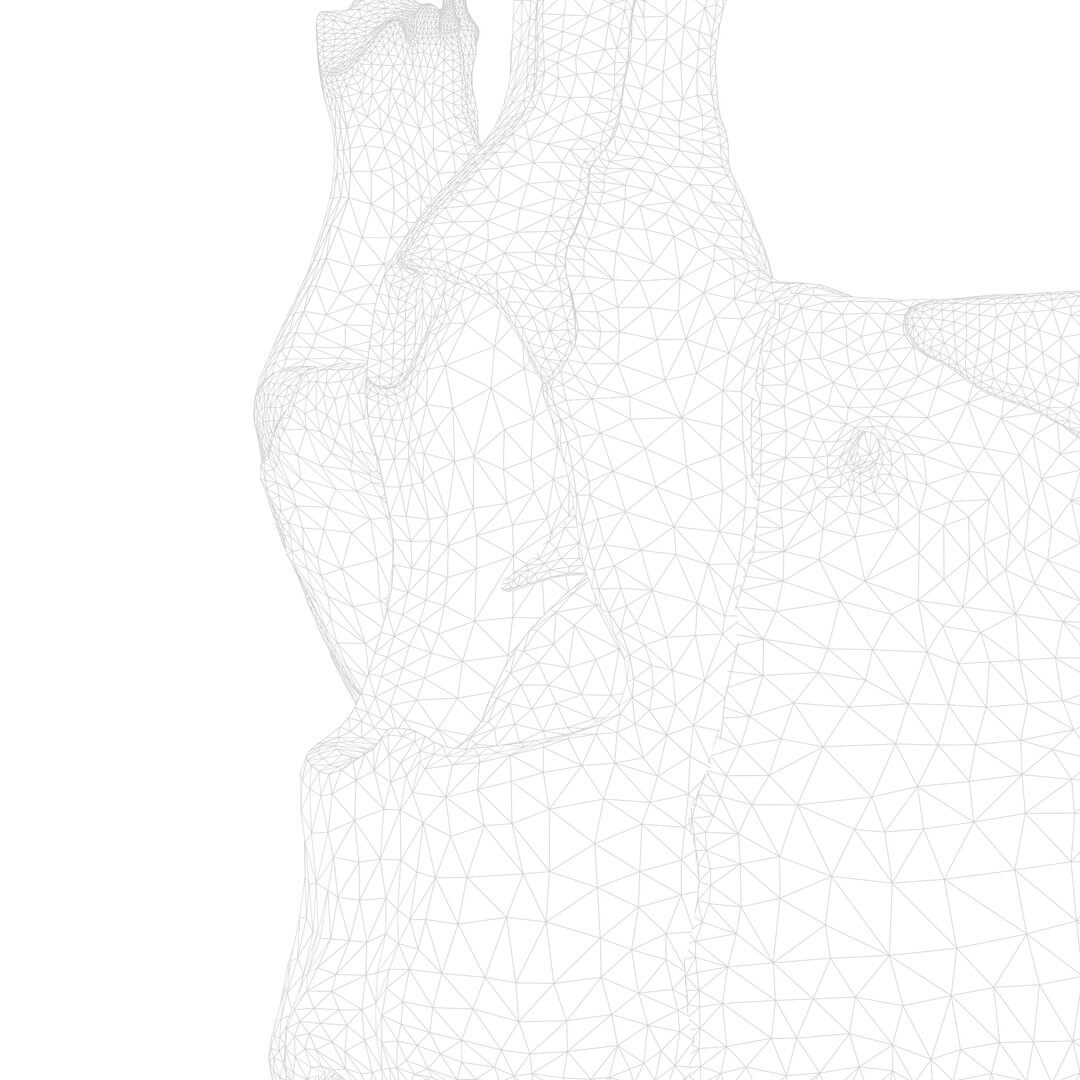 Nasal Human Anatomy Structure - 3D Model by zames1992d