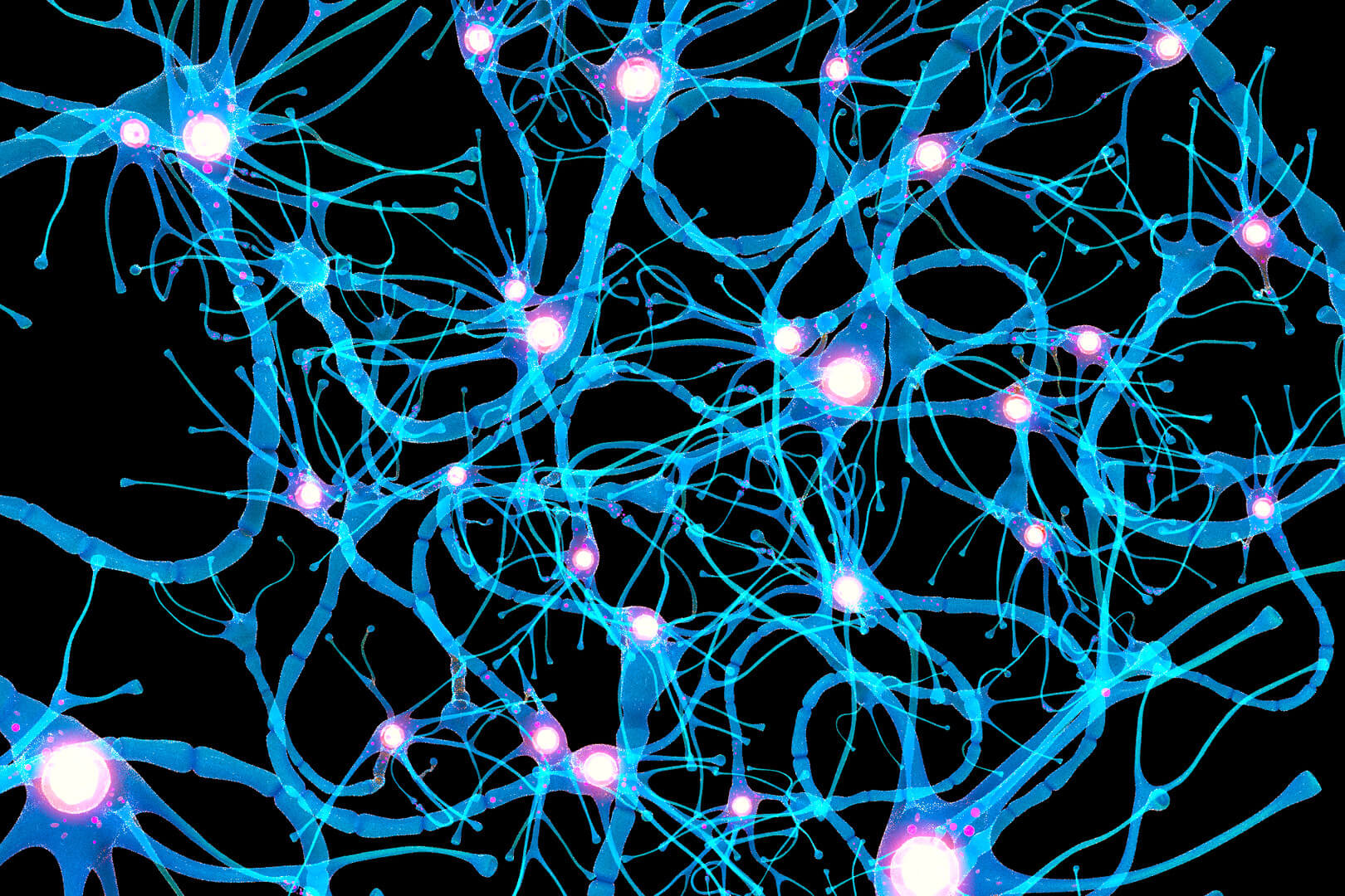 Nerve Cell Anatomy in Details - 3D Model by zames1992d
