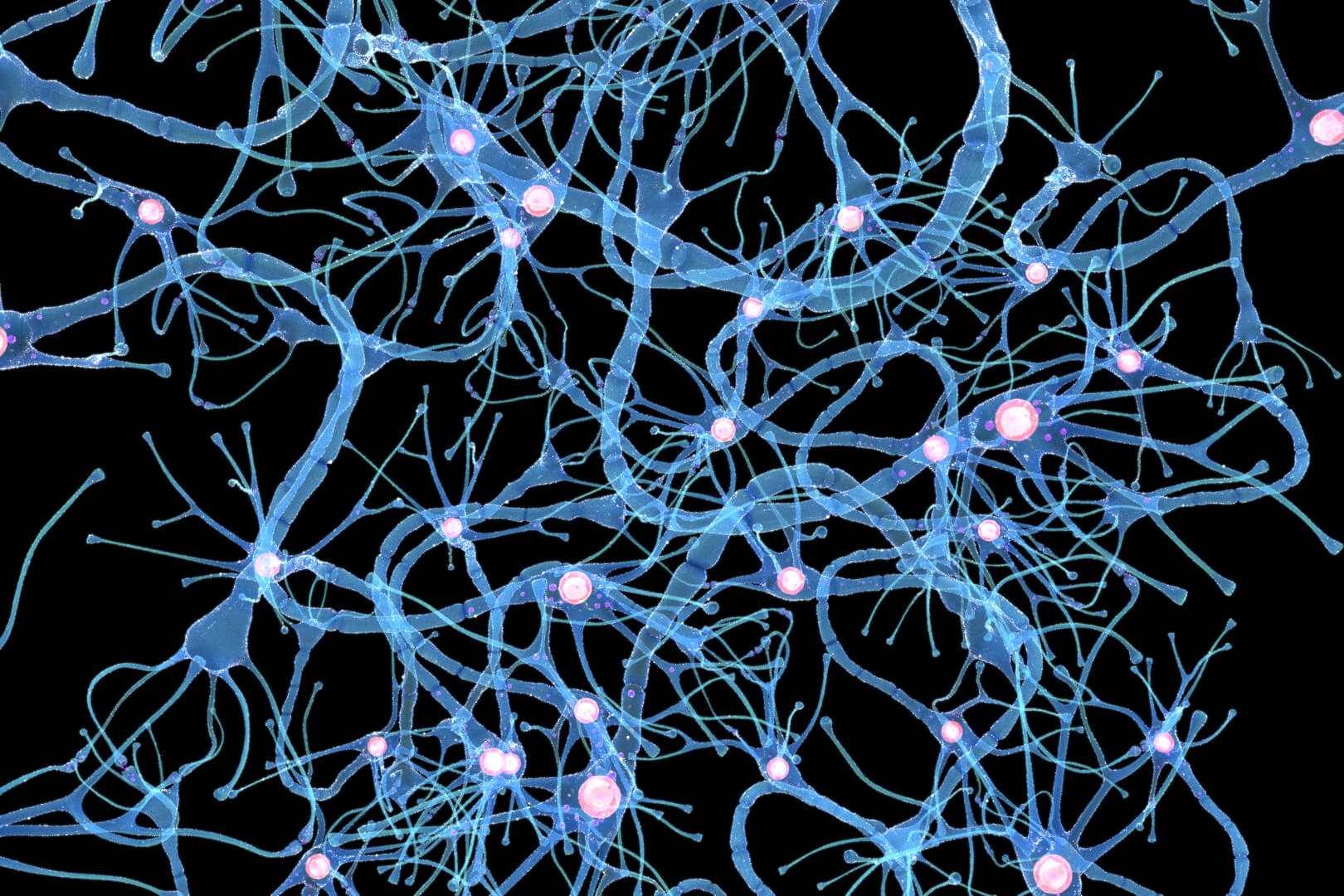 Nerve Cell Anatomy in Details - 3D Model by zames1992d