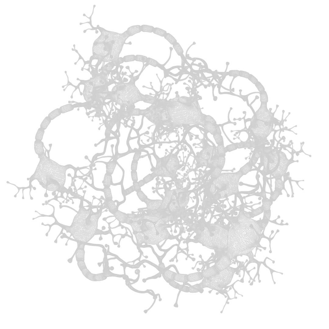 Neuron Human - 3D Model by zames1992d