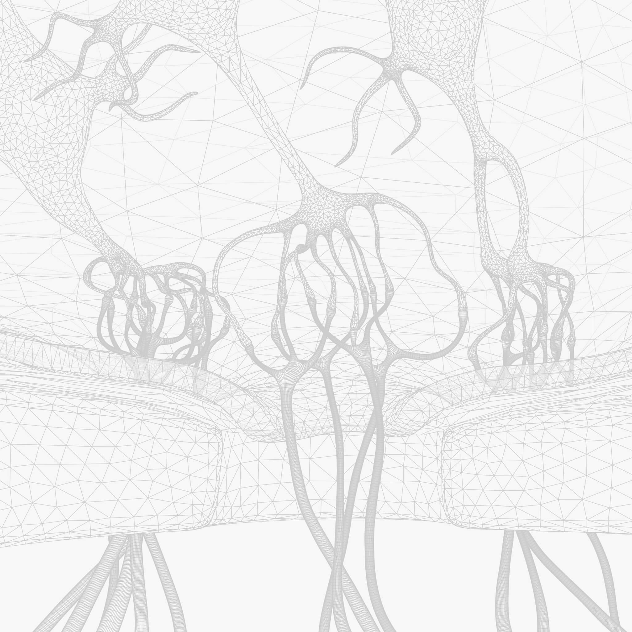 Olfactory Epithelium Microscopic Anatomy - 3D Model by zames1992d