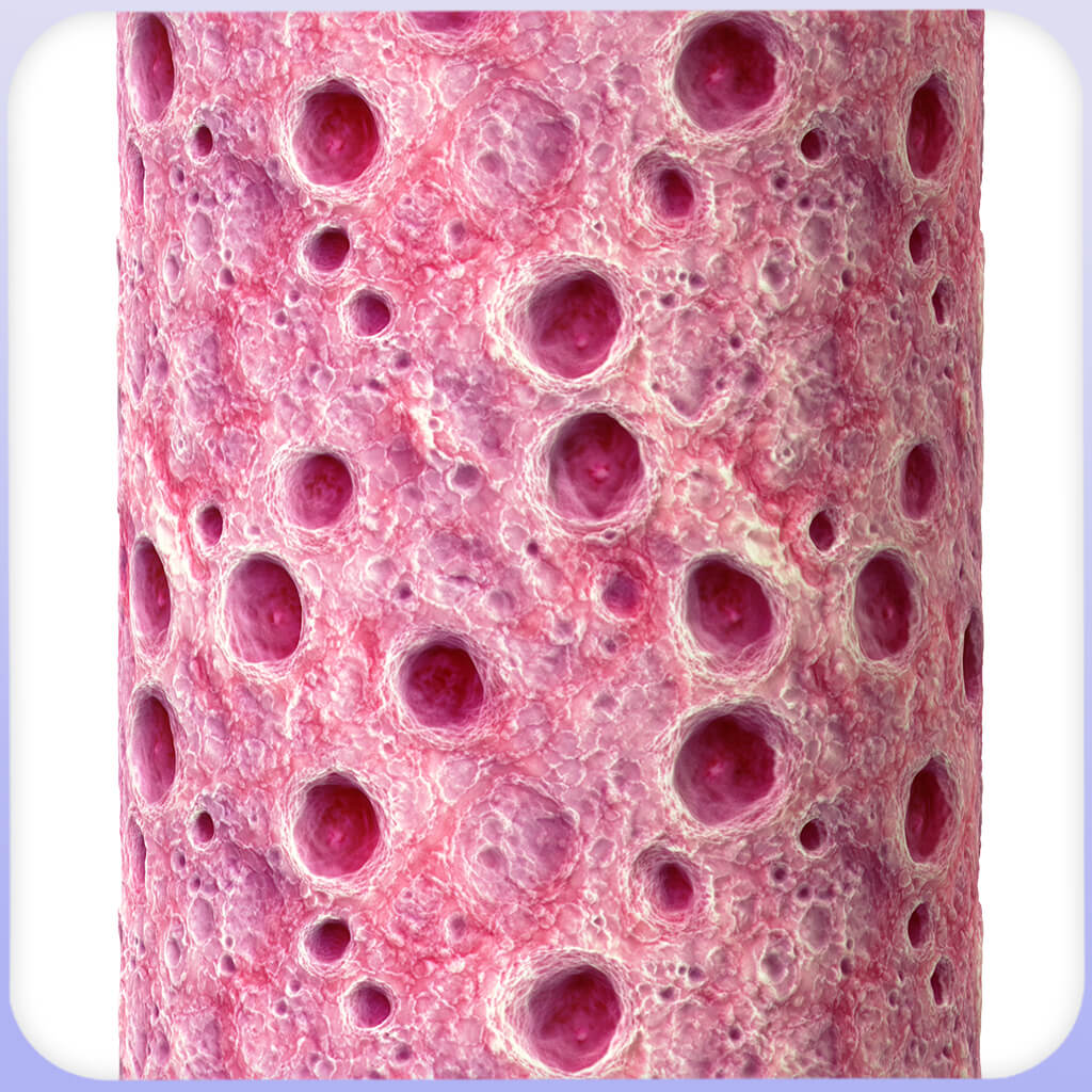 Organic Seamless Texture by zames1992d