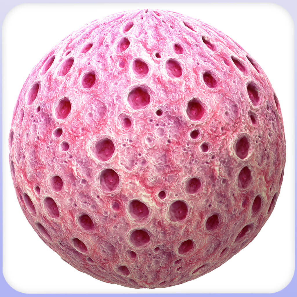 Organic Seamless Texture by zames1992d