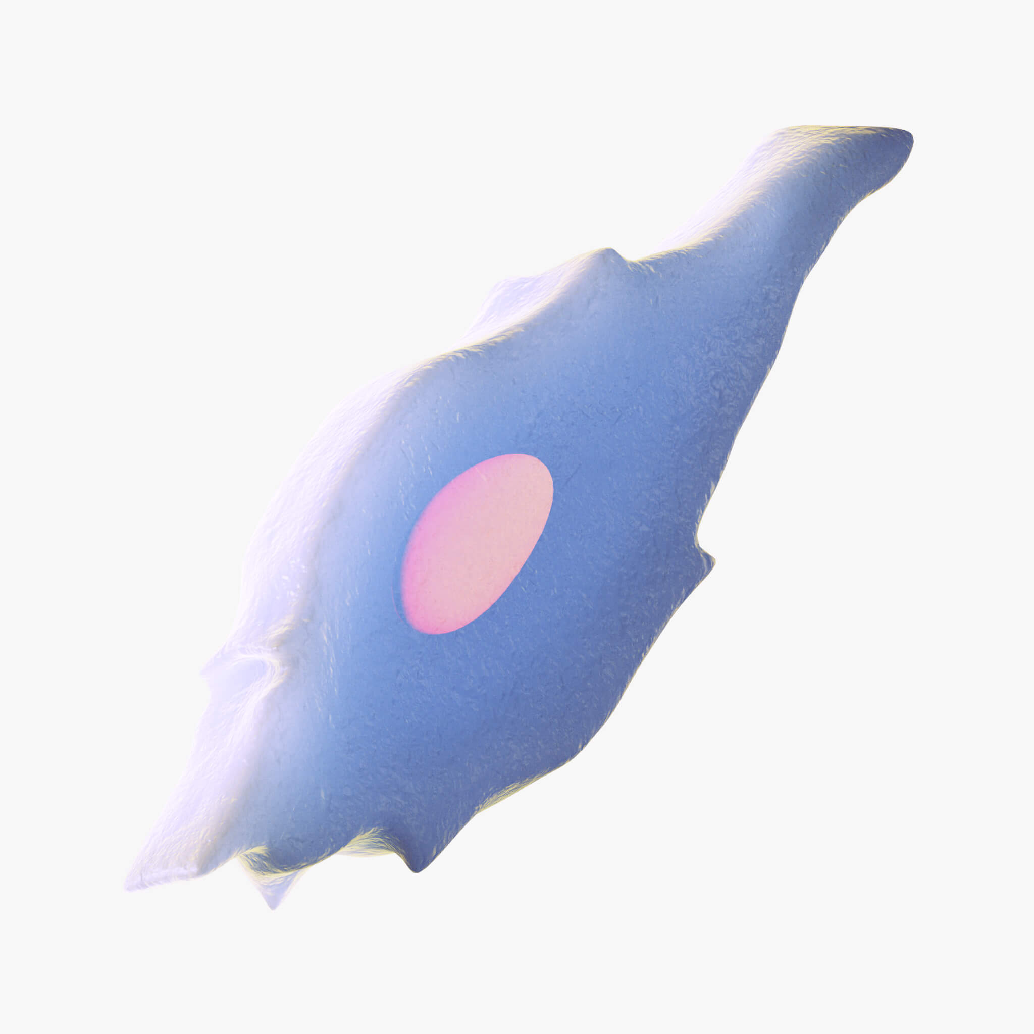Osteo Cell Anatomy Pack - 3D Model by zames1992d