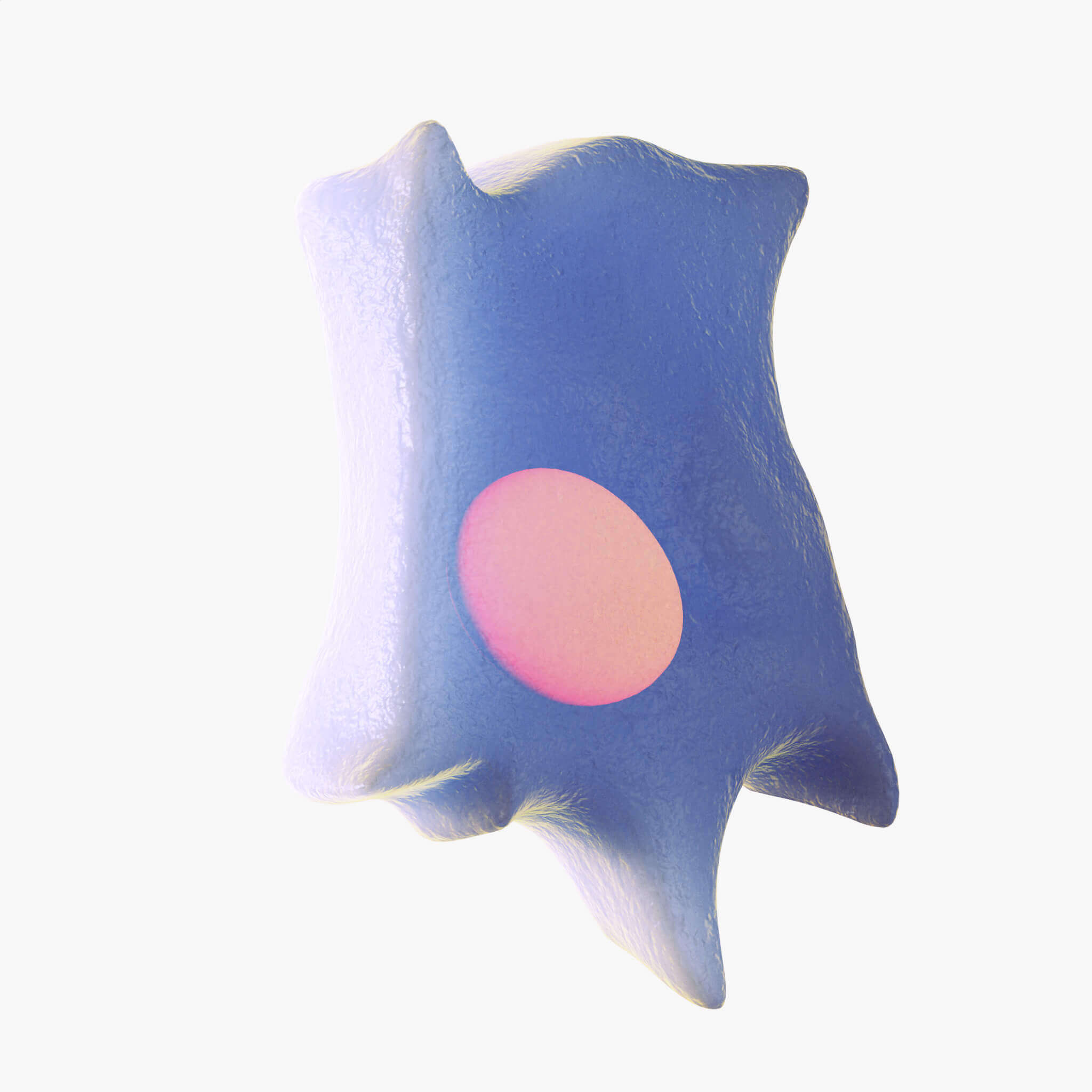Osteo Cell Anatomy Pack - 3D Model by zames1992d