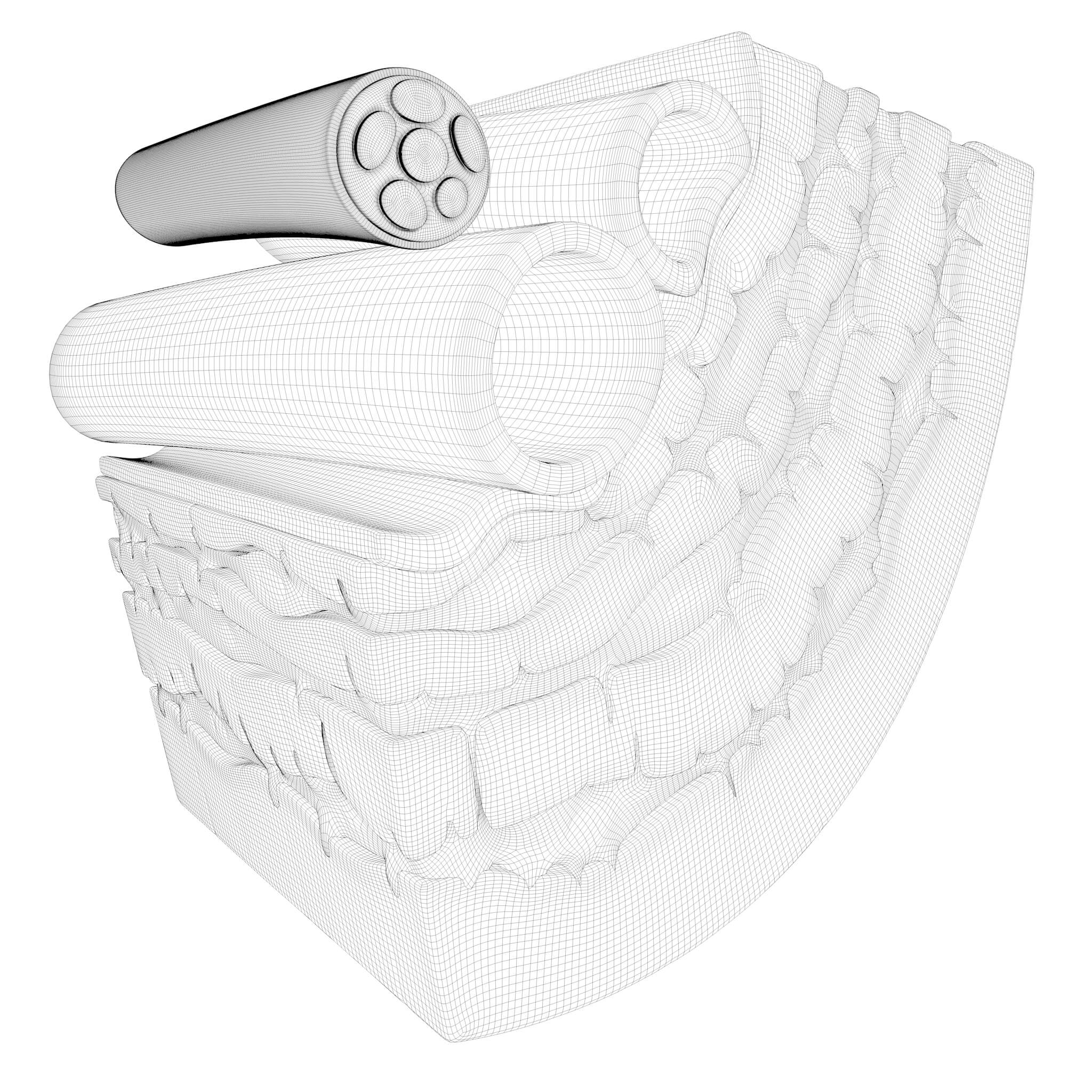 Osteocyte in Compact Bone Osteon - 3D Model by zames1992d