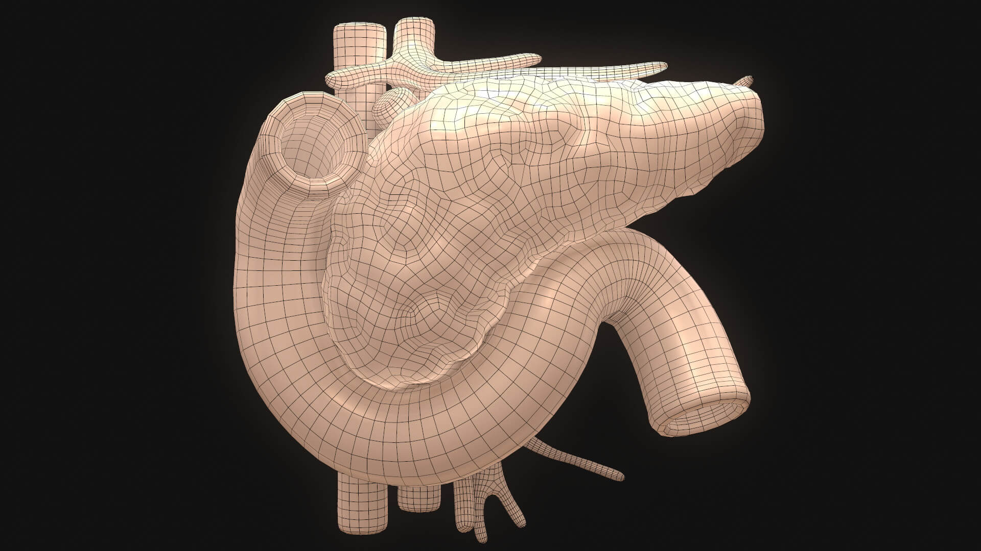 Pancreas Human - 3D Model by zames1992d