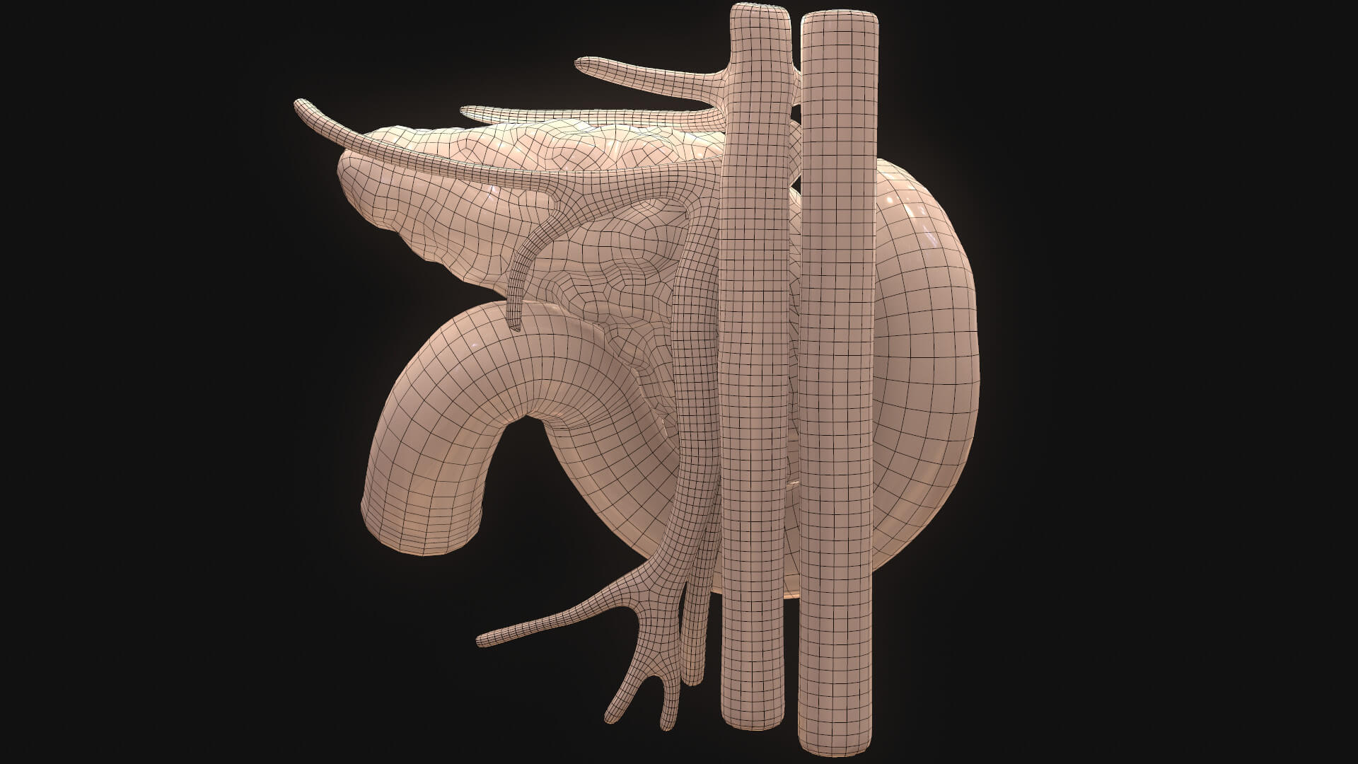 Pancreas Human - 3D Model by zames1992d