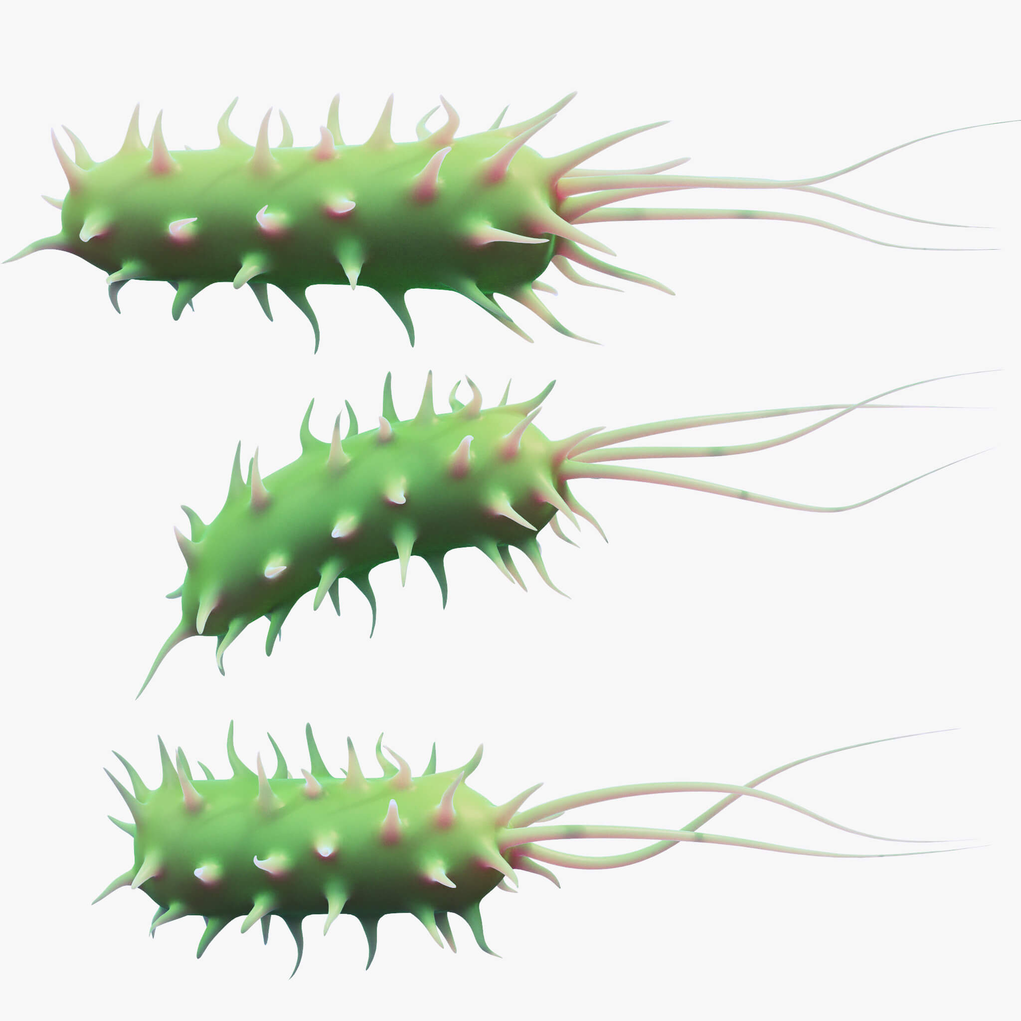 Prokaryotic Bacteria - 3D Model by zames1992d