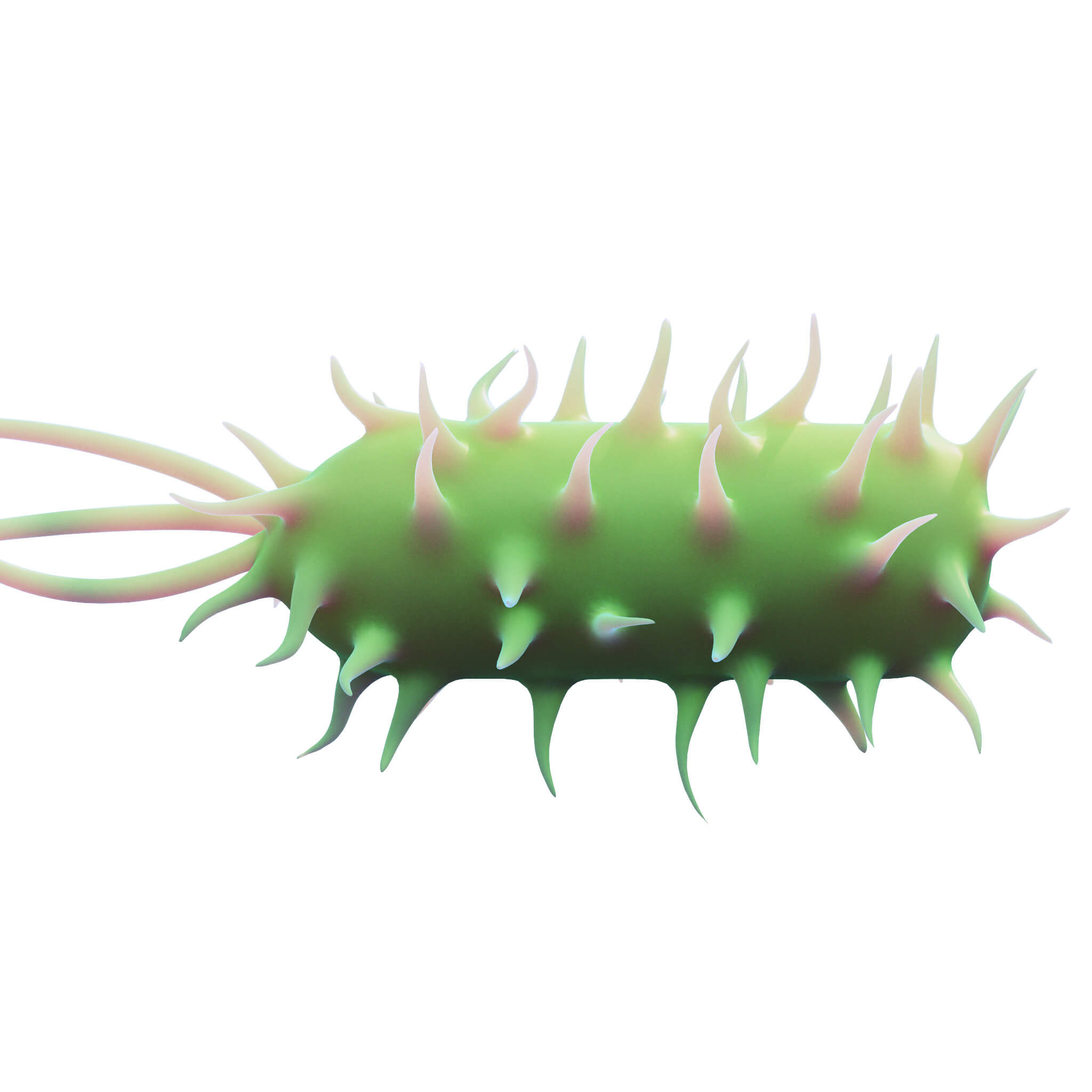 Prokaryotic Bacteria - 3D Model by zames1992d