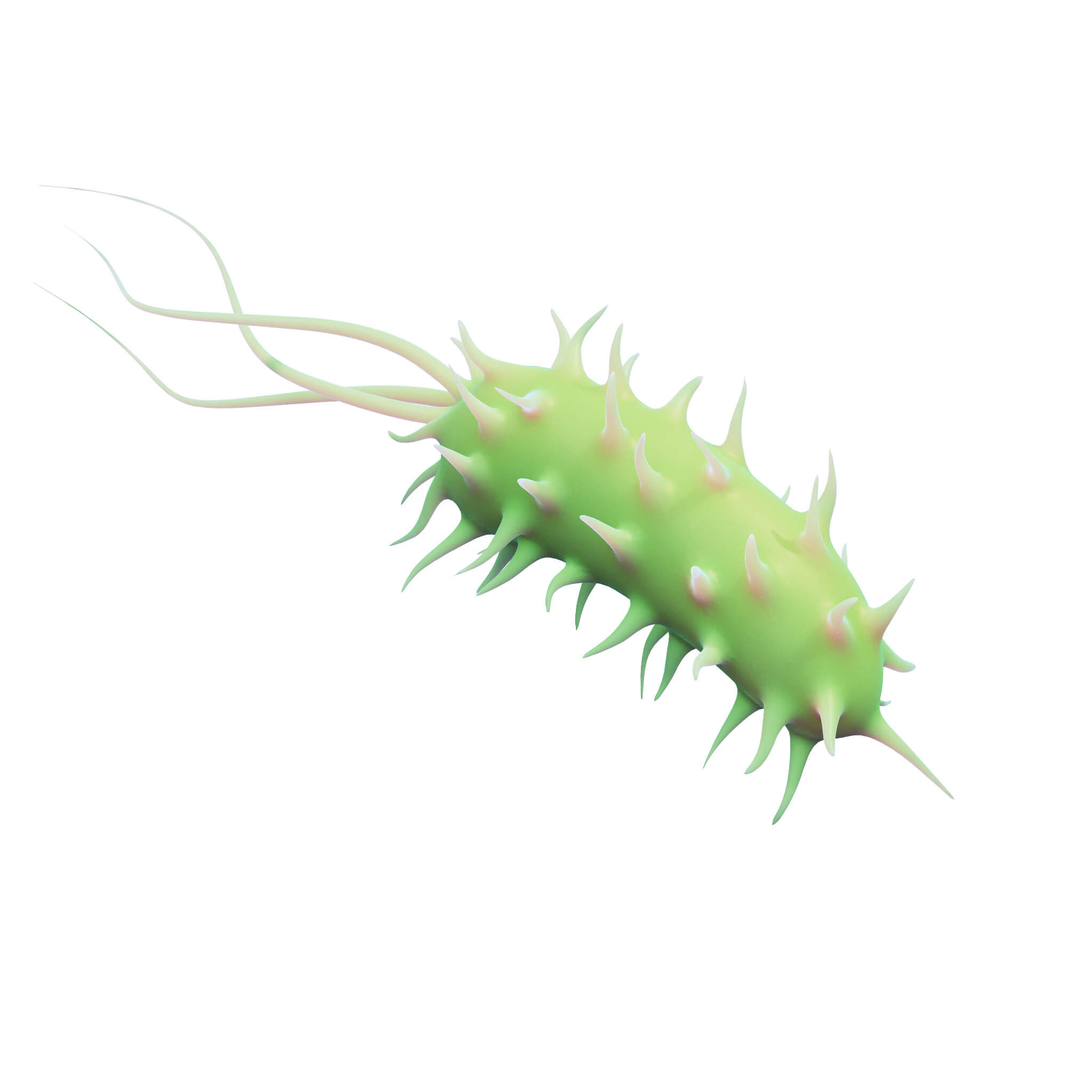 Prokaryotic Bacteria - 3D Model by zames1992d