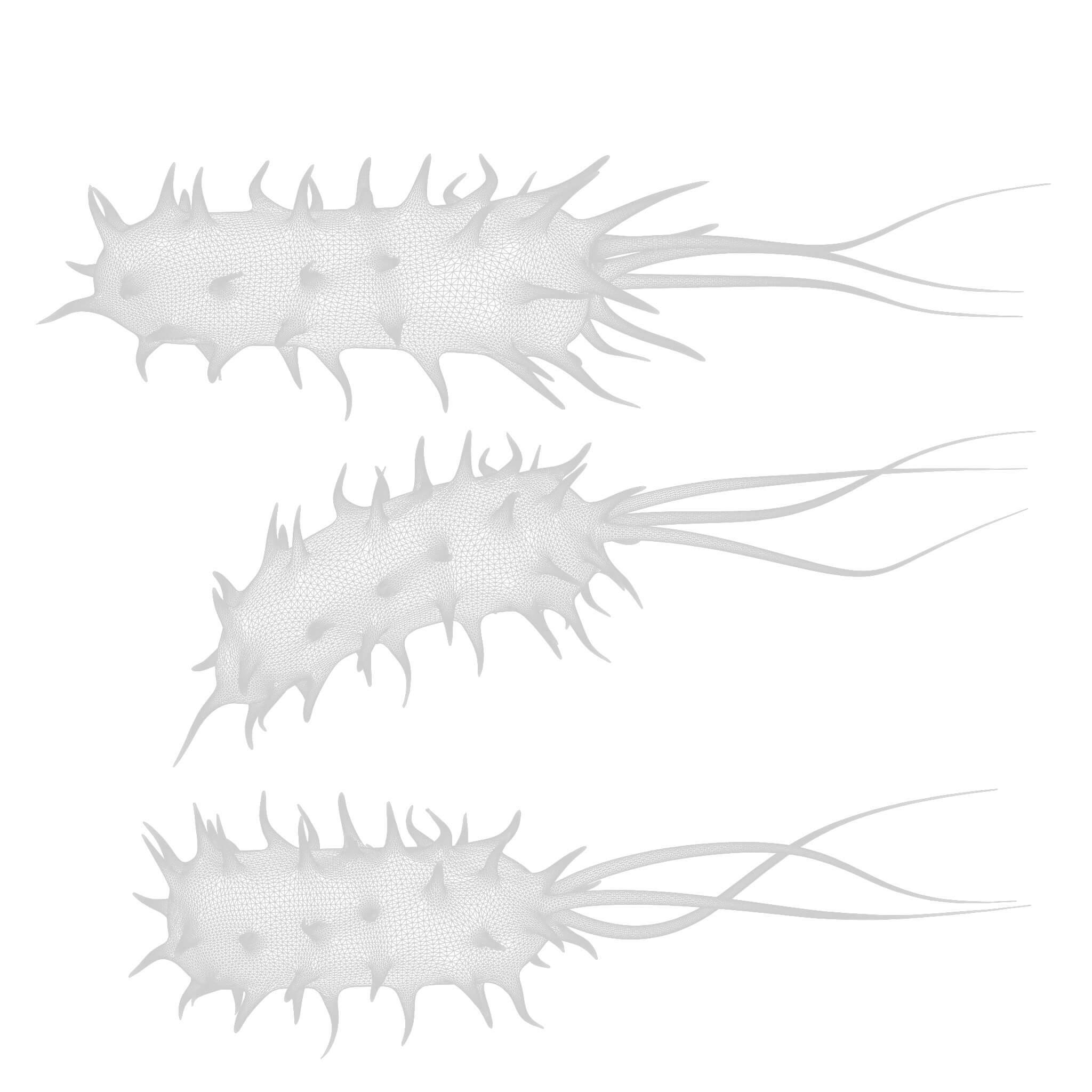 Prokaryotic Bacteria - 3D Model by zames1992d