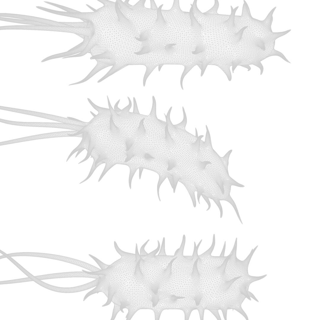 Prokaryotic Bacteria - 3D Model by zames1992d