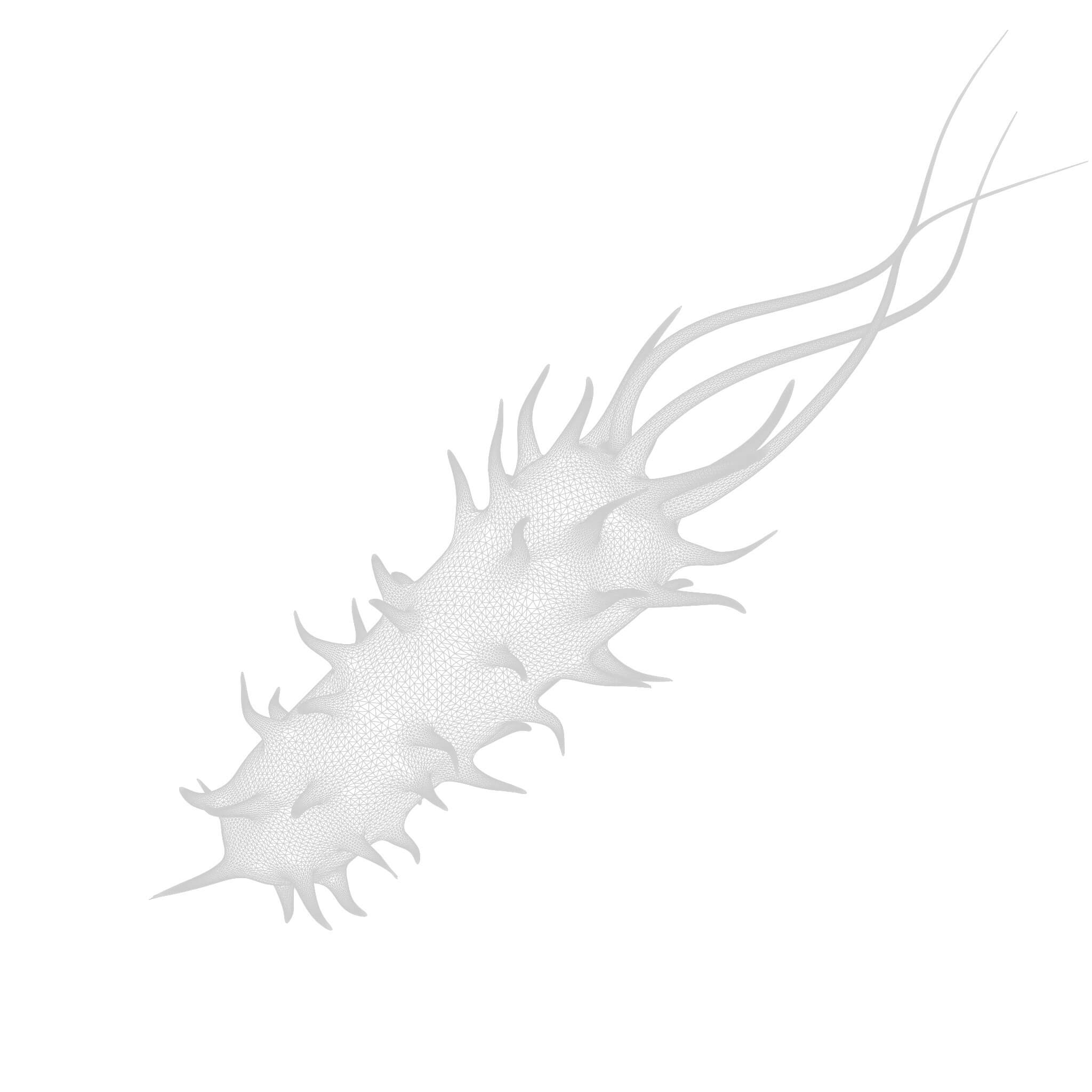 Prokaryotic Bacteria - 3D Model by zames1992d