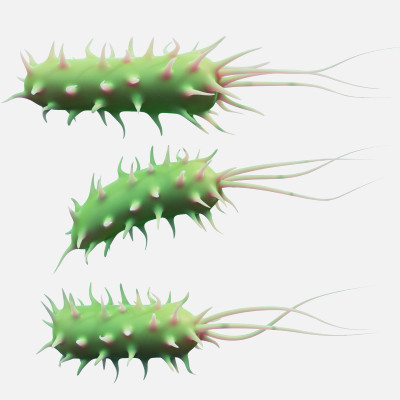 Prokaryotic Bacteria - 3D Model by zames1992d