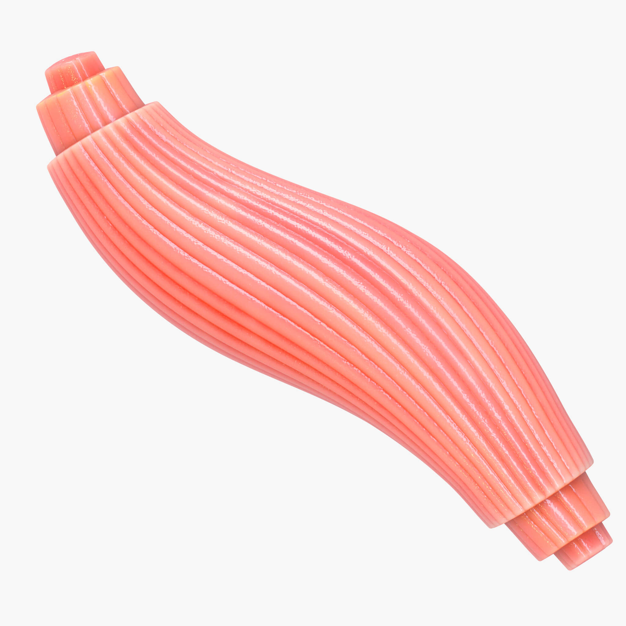 Skeletal Muscle Fiber Cross Section Anatomy - 3D Model by zames1992d