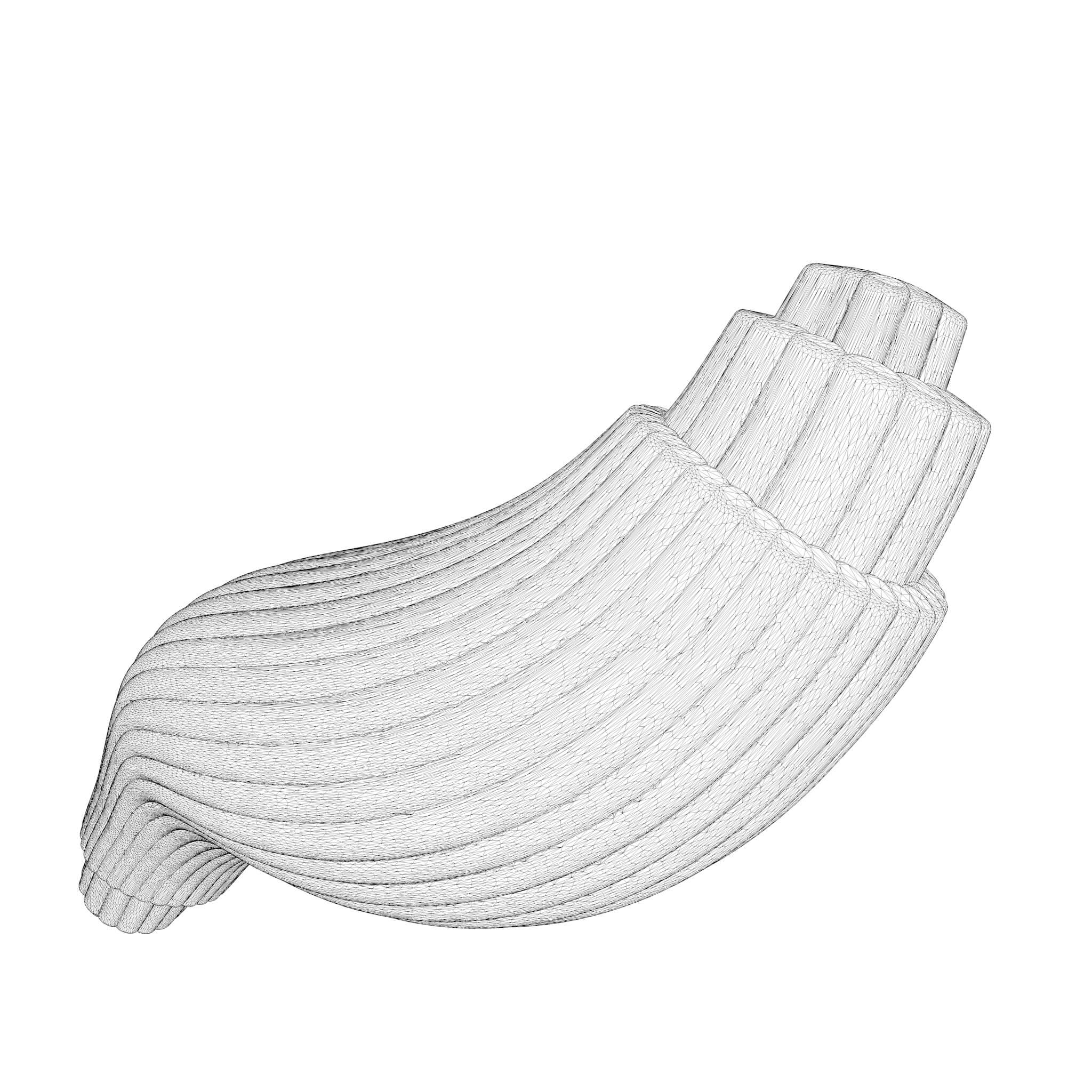 Skeletal Muscle Fiber Cross Section Anatomy - 3D Model by zames1992d