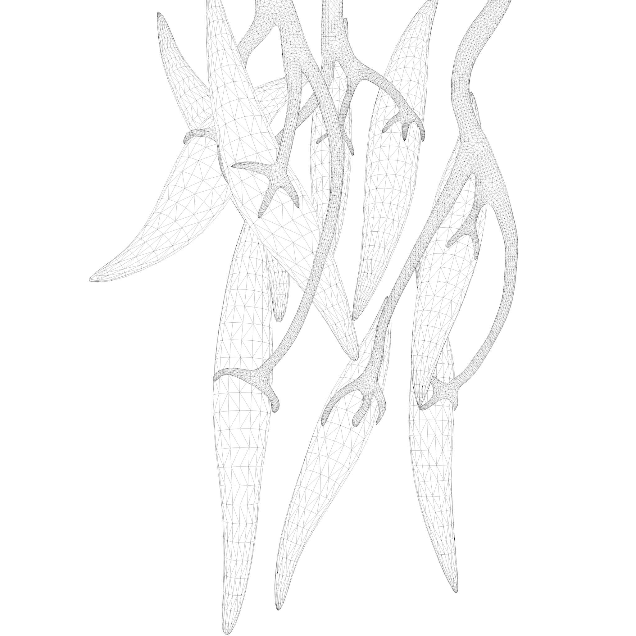 Smooth Muscle Anatomy - 3D Model by zames1992d