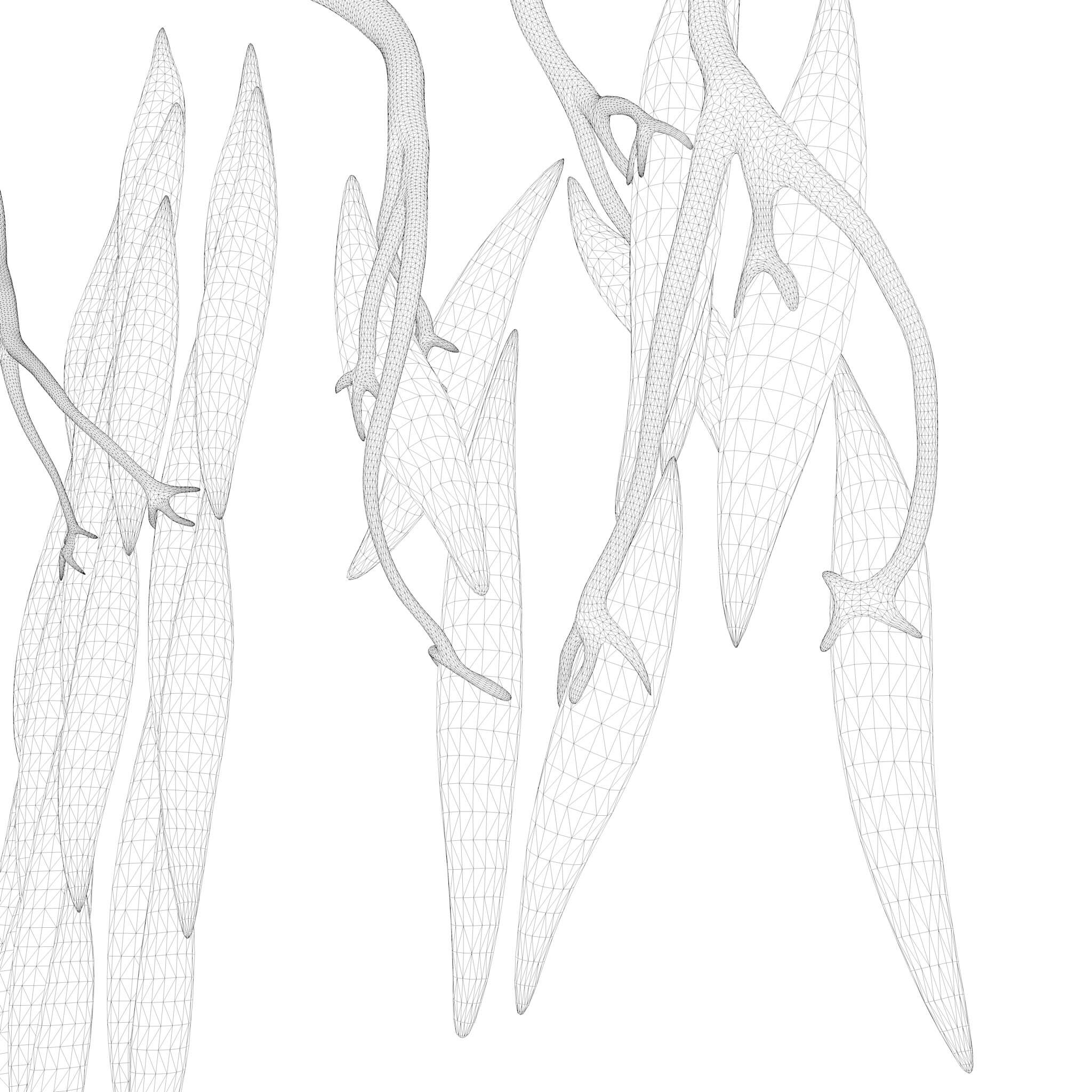 Smooth Muscle Anatomy - 3D Model by zames1992d