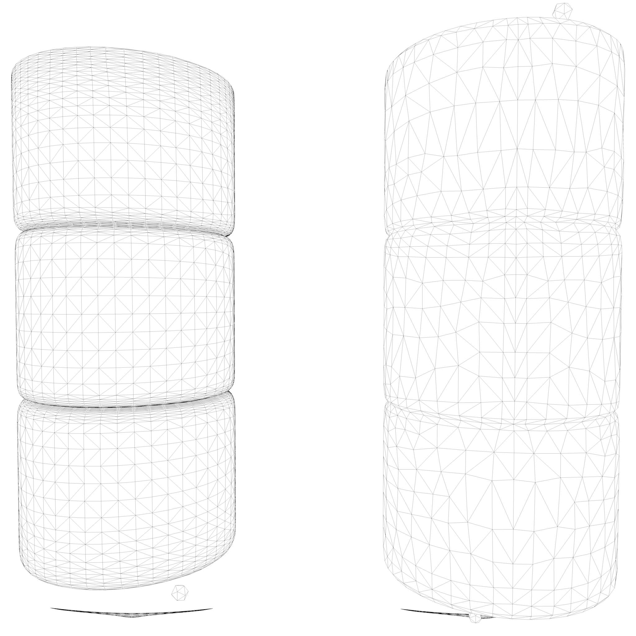 Vascular Tissue System in Plants - 3D Model by zames1992d