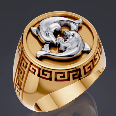 Dolphin Ring - 3D Model by ZaraHM