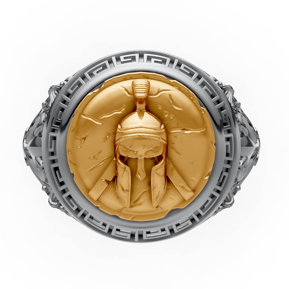 Spartacus Shield Ring - 3D Model by ZaraHM
