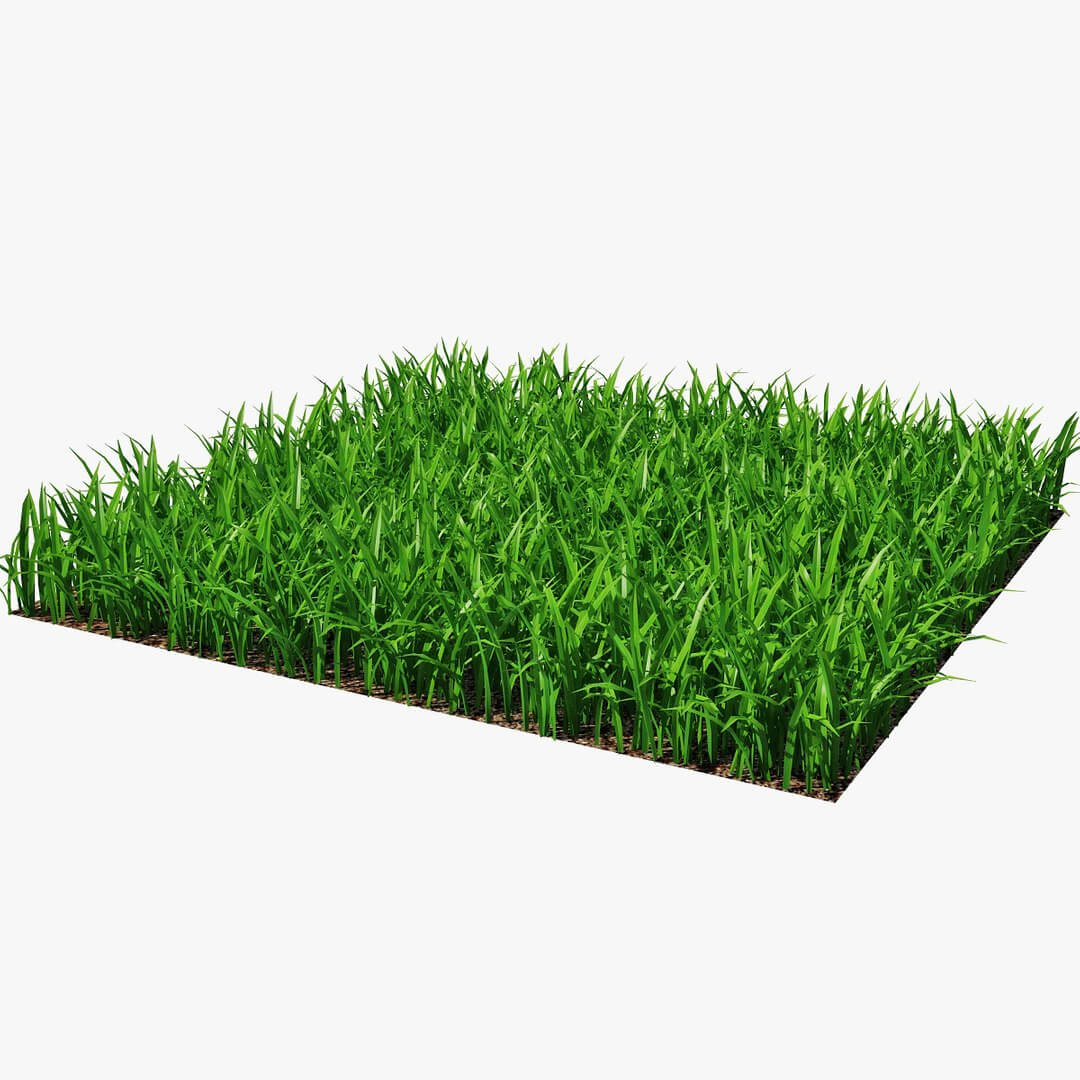 Realistic 3D Grass Model by zaroon