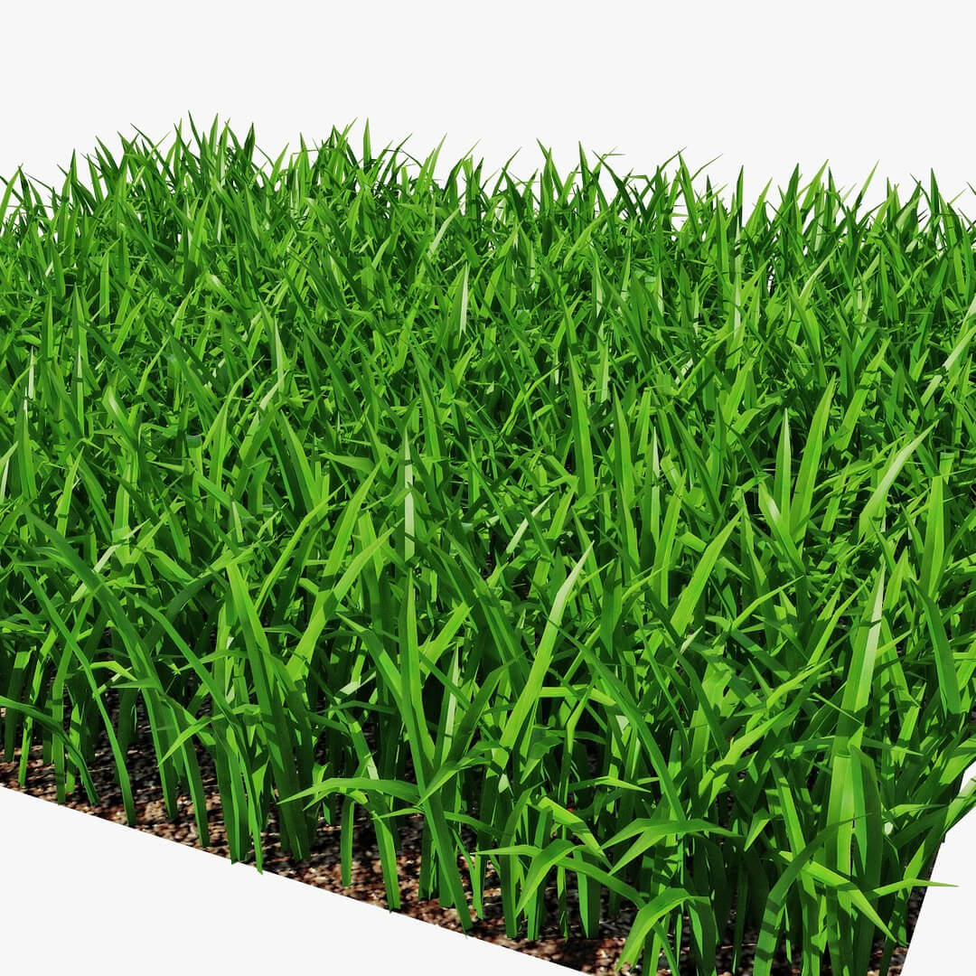Realistic 3D Grass Model by zaroon