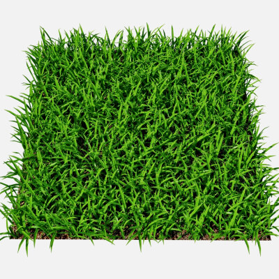 Realistic 3D Grass Model by zaroon