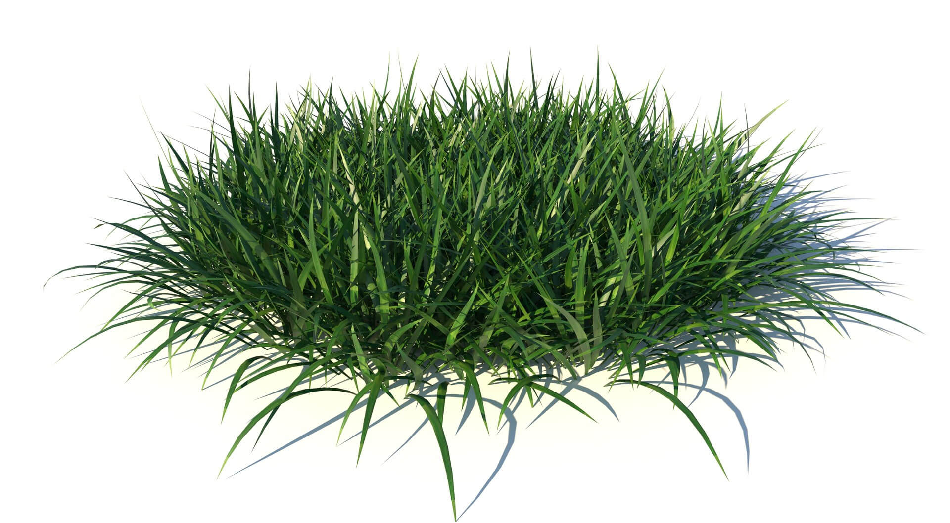 Realistic 3D Round Grass Model by zaroon