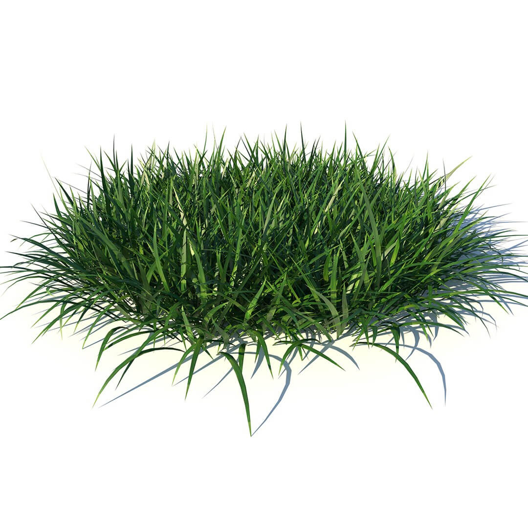 Realistic 3D Round Grass Model by zaroon