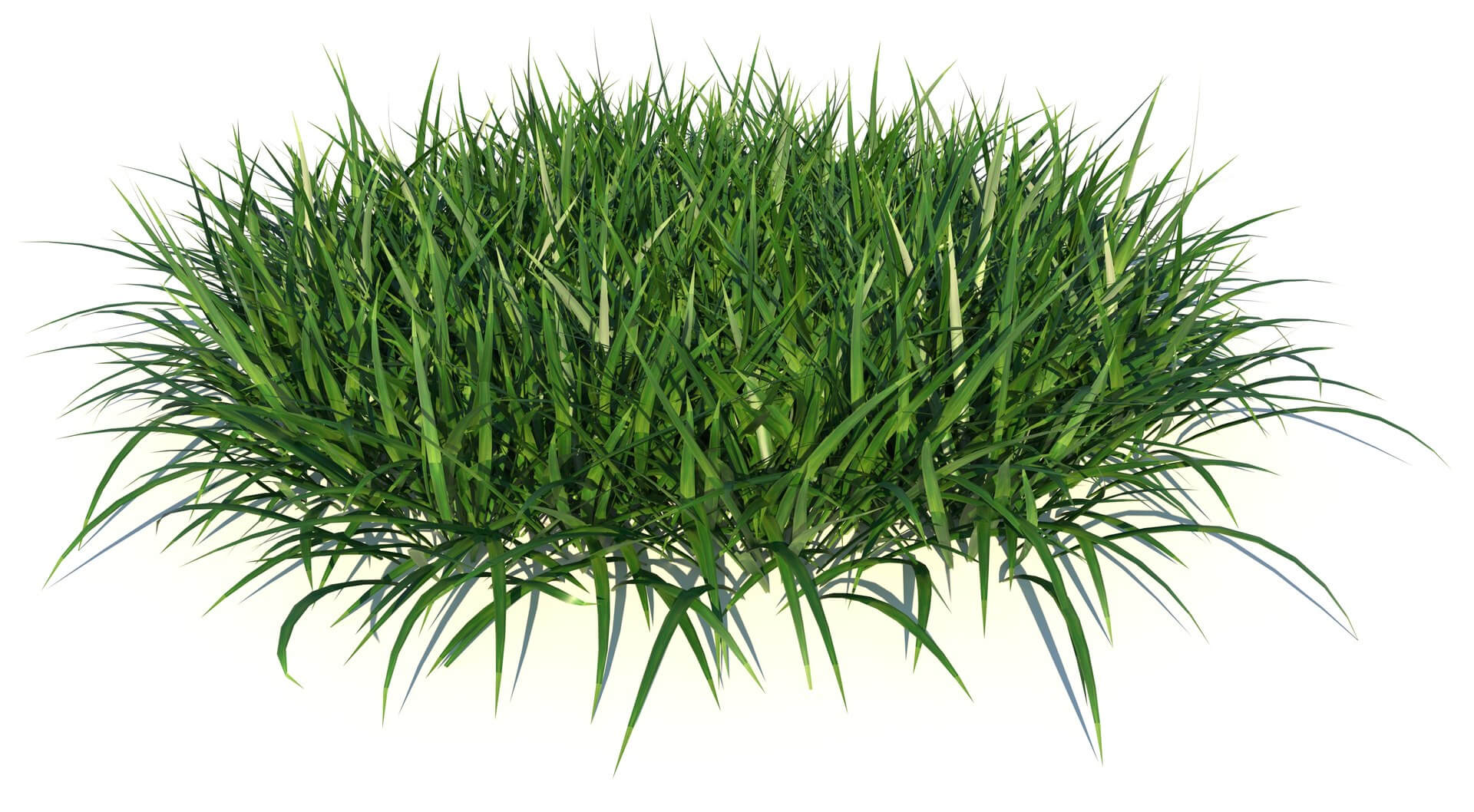 Realistic 3D Round Grass Model by zaroon