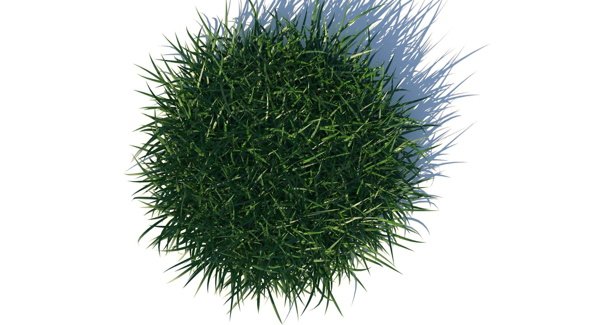 Realistic 3D Round Grass Model by zaroon