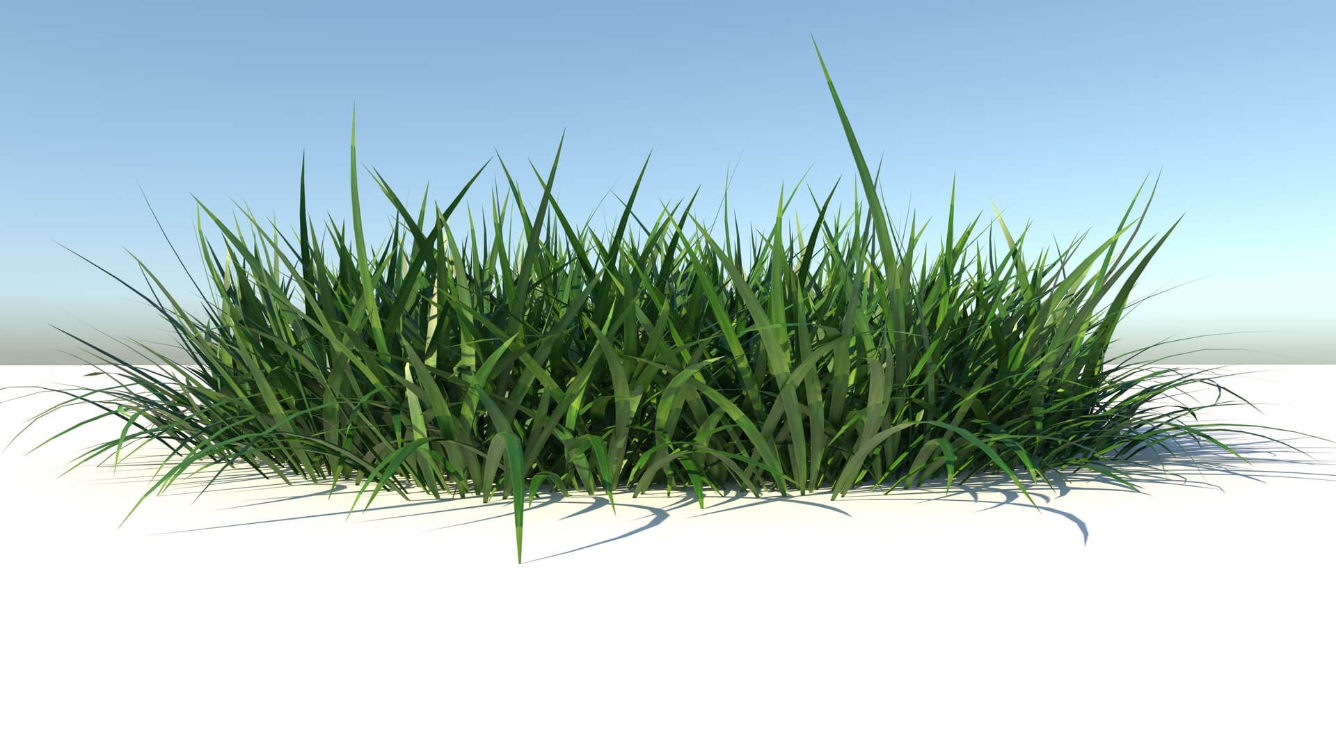 Realistic 3D Round Grass Model by zaroon