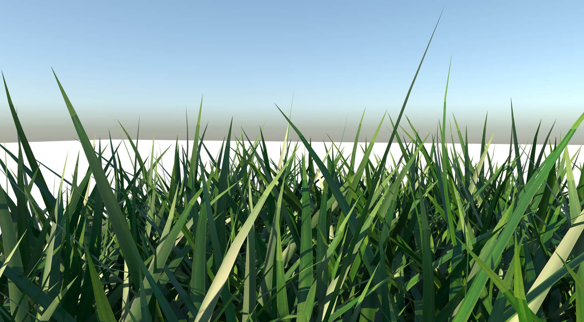 Realistic 3D Round Grass Model by zaroon