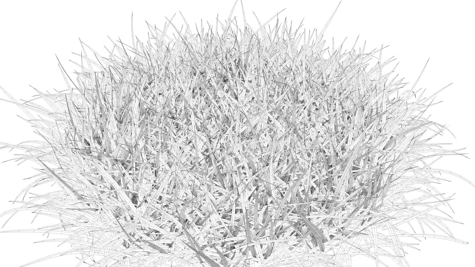 Realistic 3D Round Grass Model by zaroon