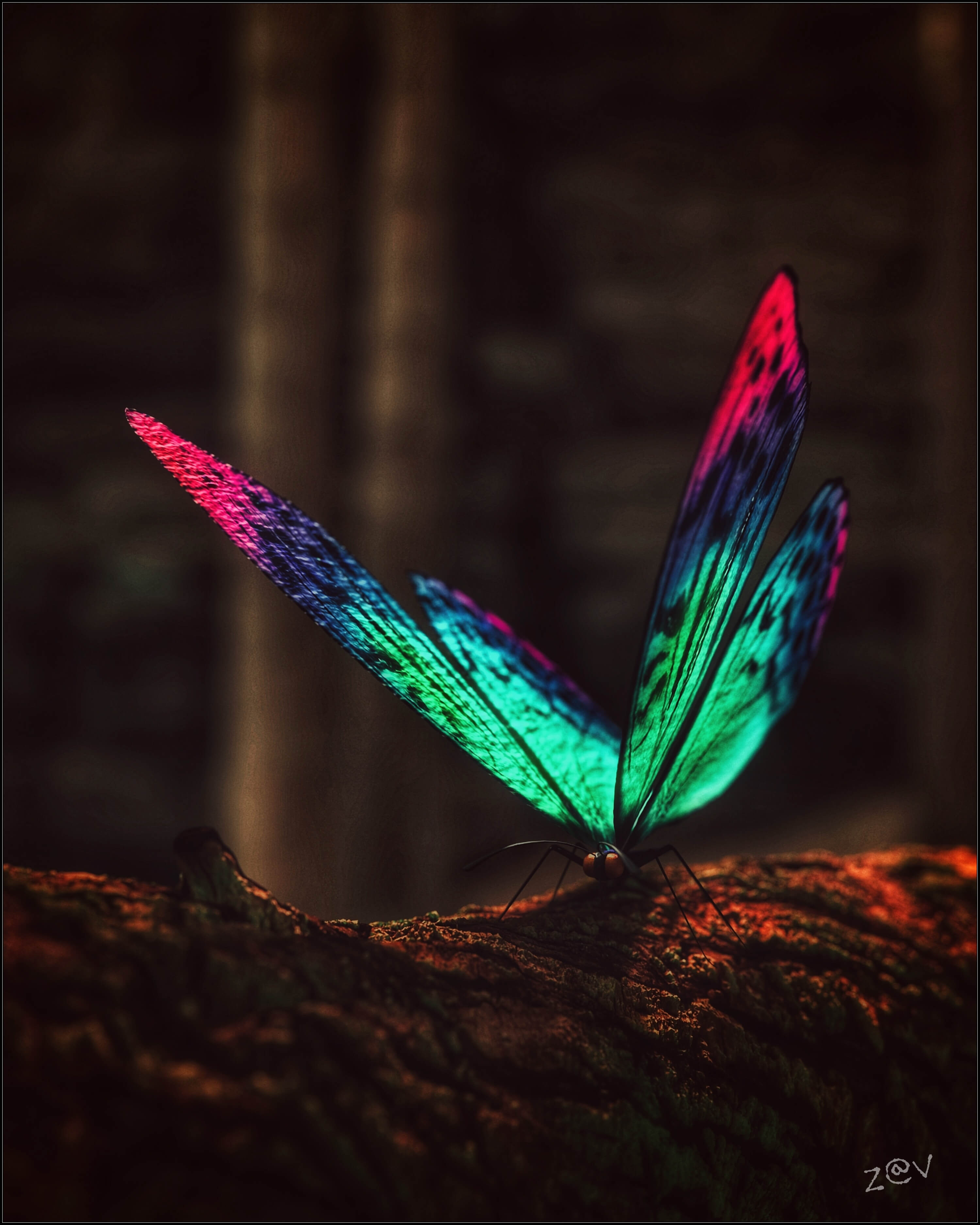 Butterfly 3D Render, Digital Art by Zavciu