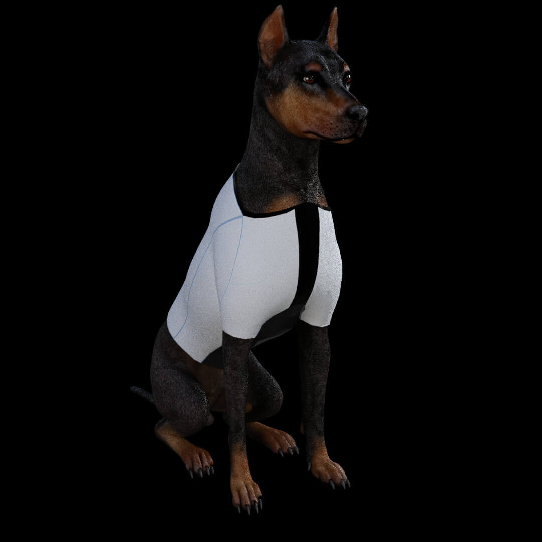Ben 10 Shirt for Daz Dog 8 by zcnaipowered