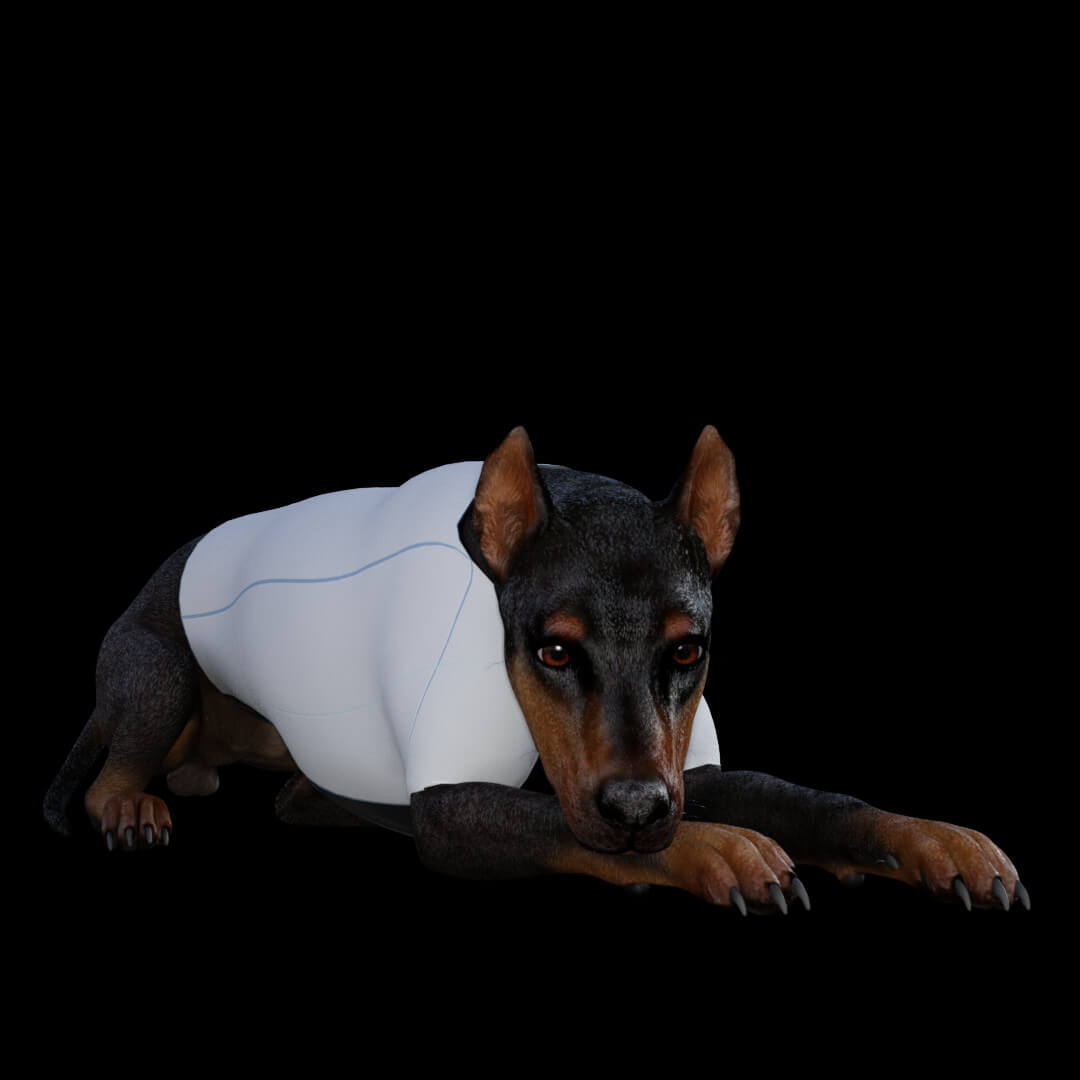 Ben 10 Shirt for Daz Dog 8 by zcnaipowered