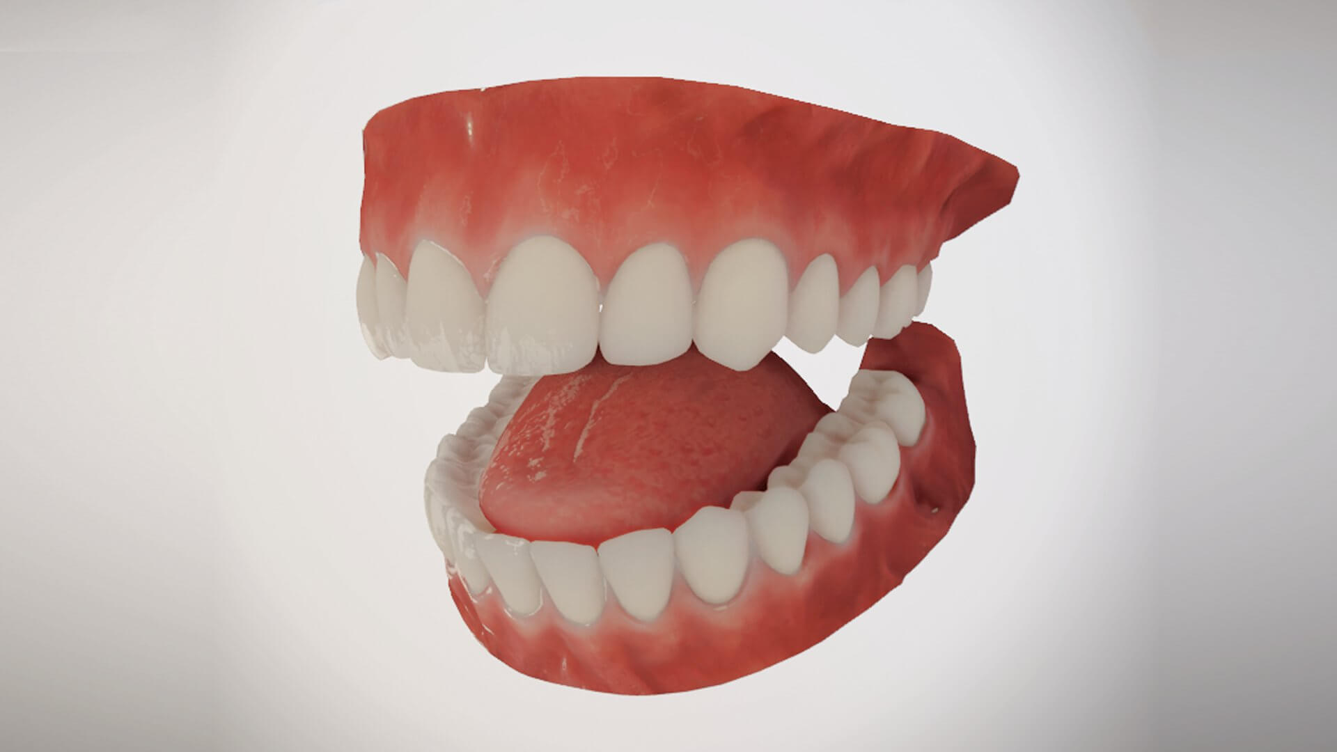 Realistic Mouth For Character - 3D Model by Zelad