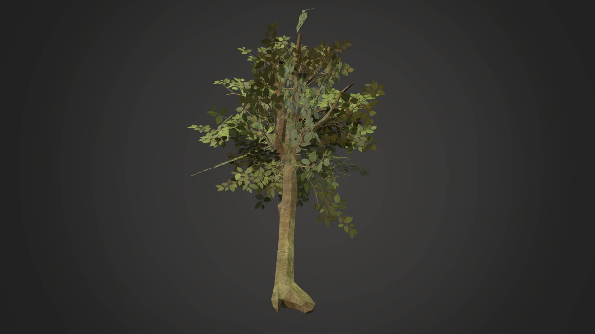 Tree with Leaf - 3D Model by Zelad