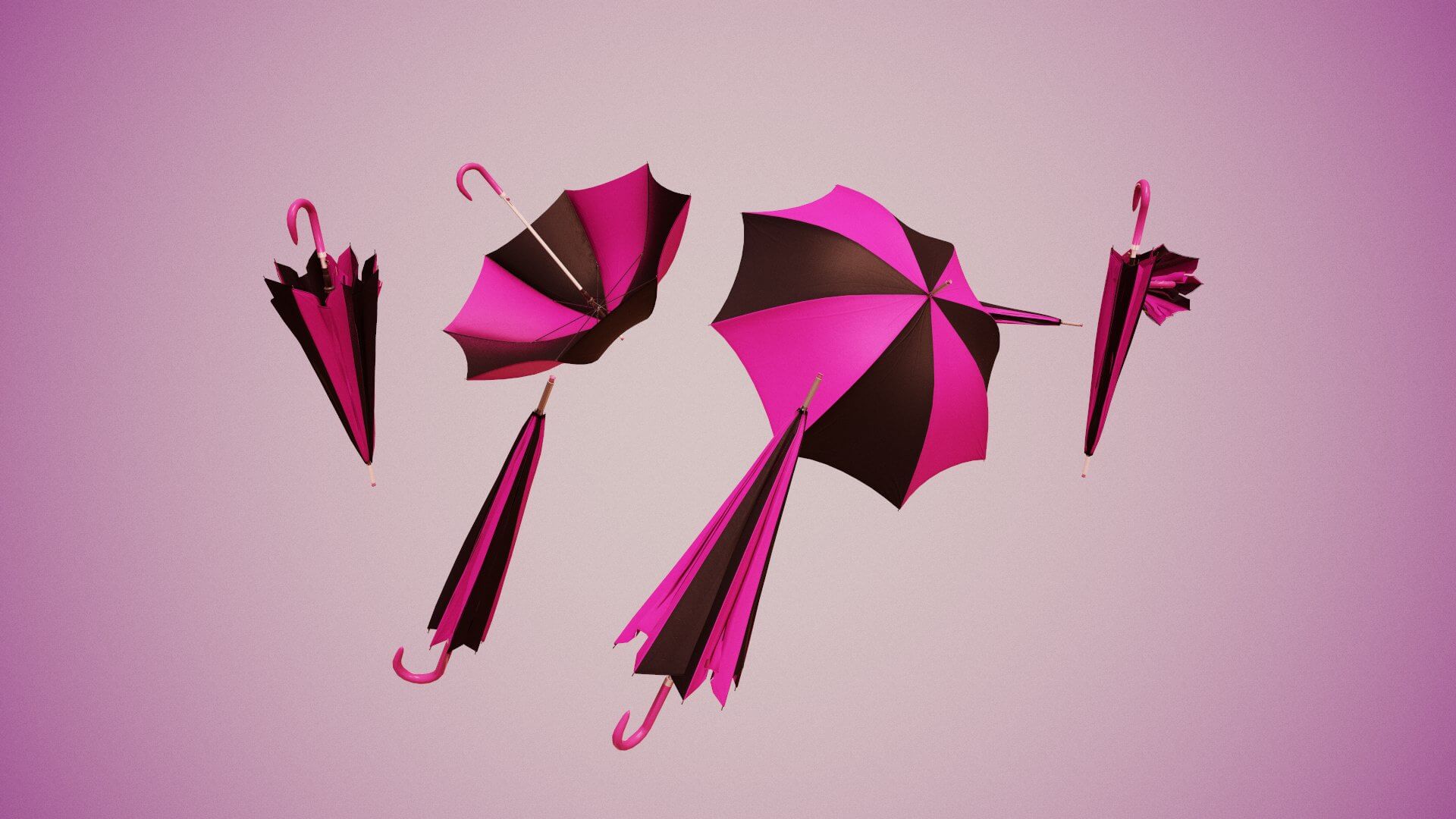Umbrella - 3D Model by Zelad